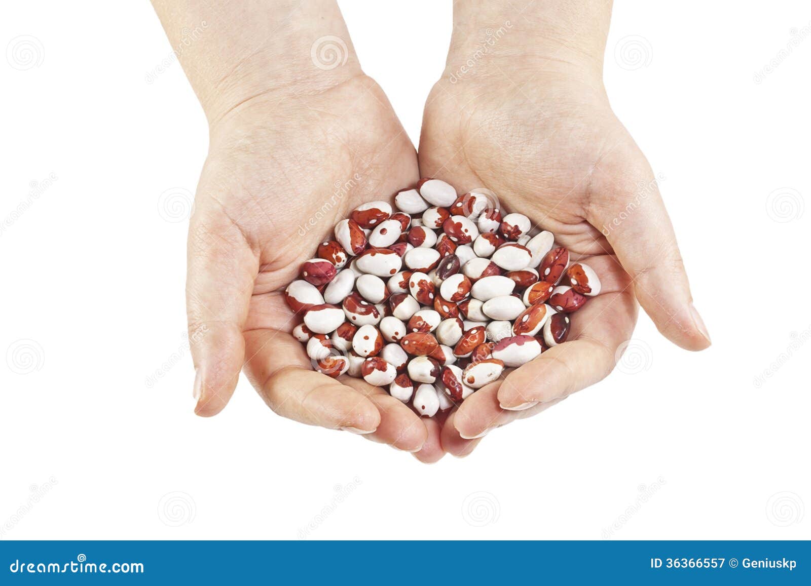 Hands Holding a Scoop of Beans Stock Image - Image of beans, eating ...