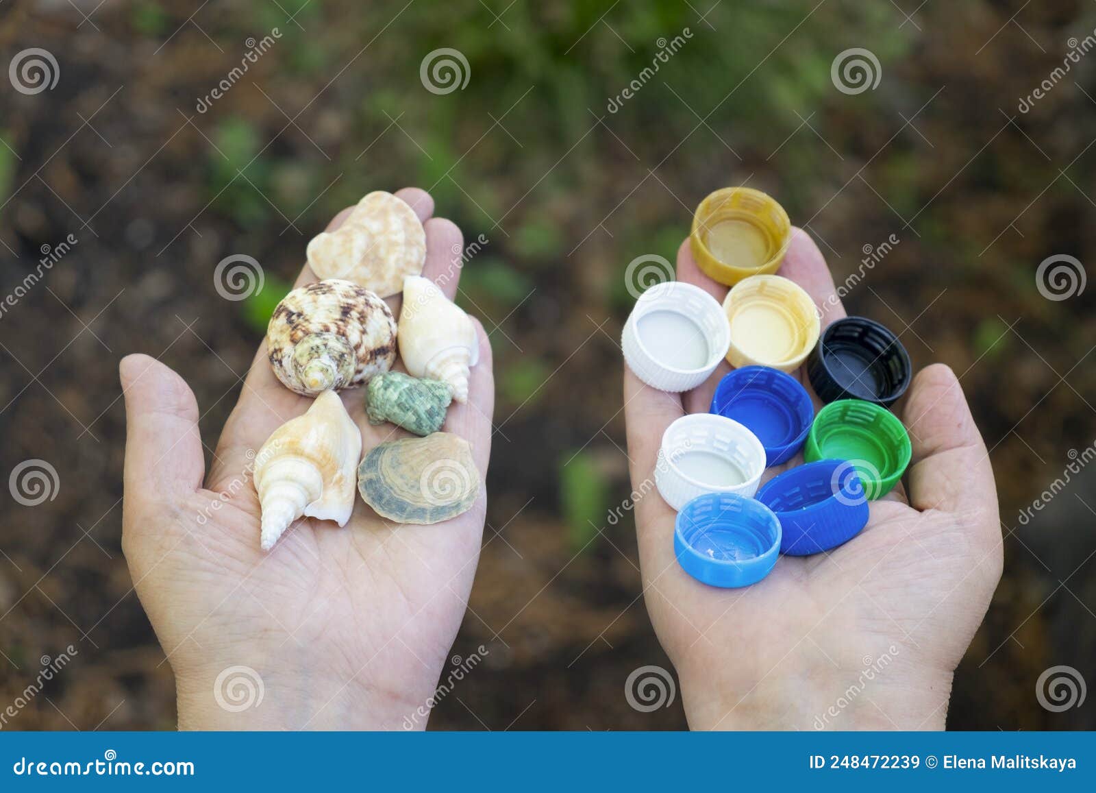 Hands Holding Several Beautiful Sea Shells and Plastic Caps from ...