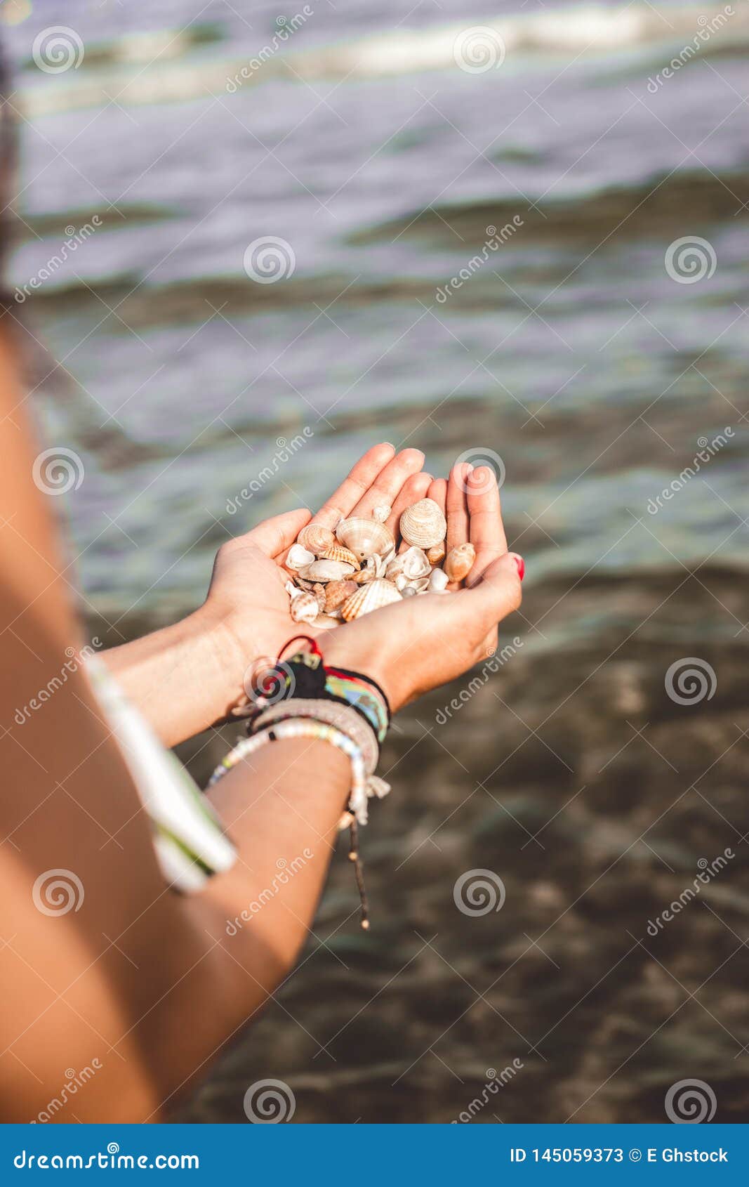 Hands Holding Shells Caught from the Sea Stock Image - Image of bubble ...
