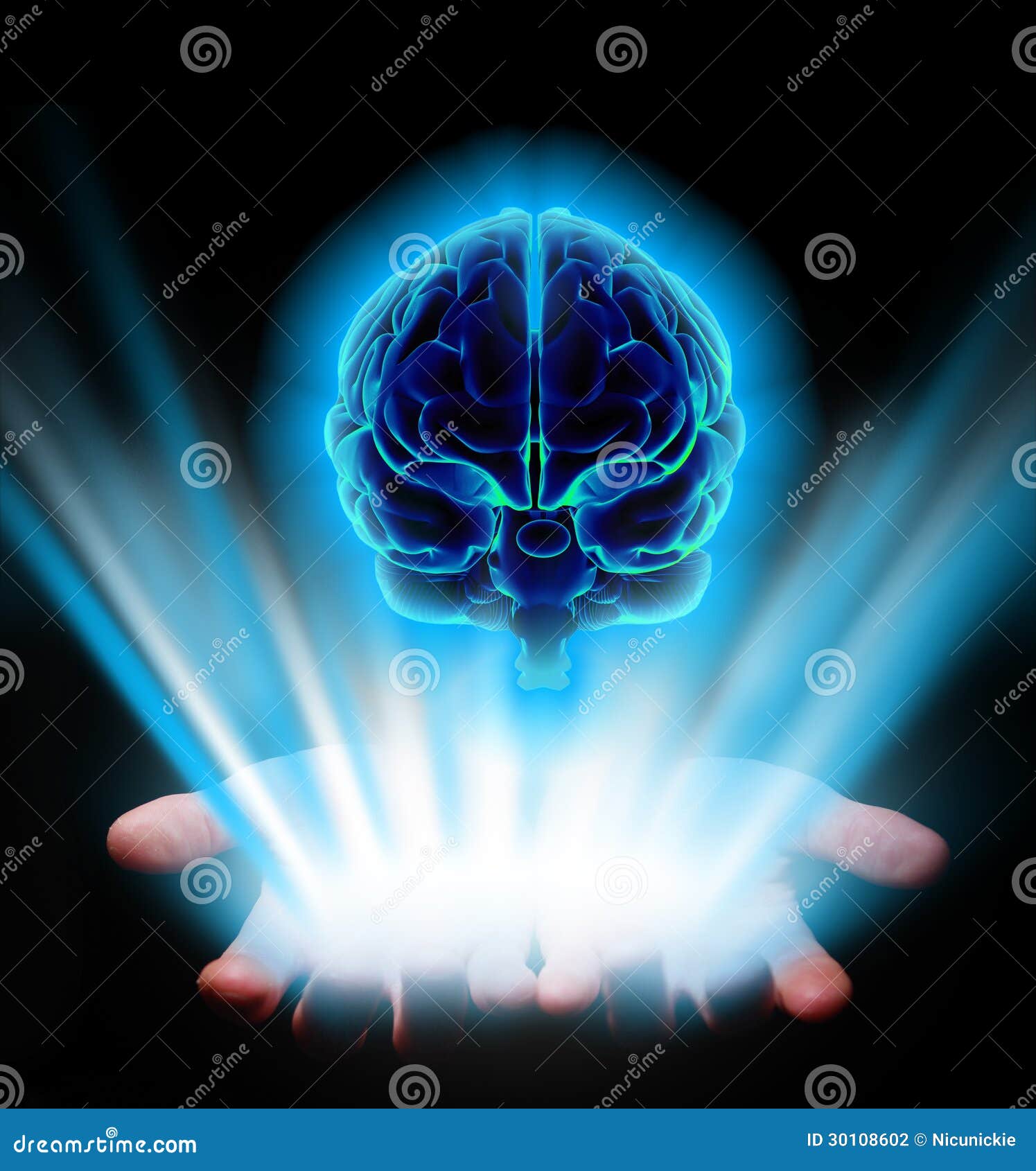 Hands holding brain stock illustration. Illustration of holding - 30108602