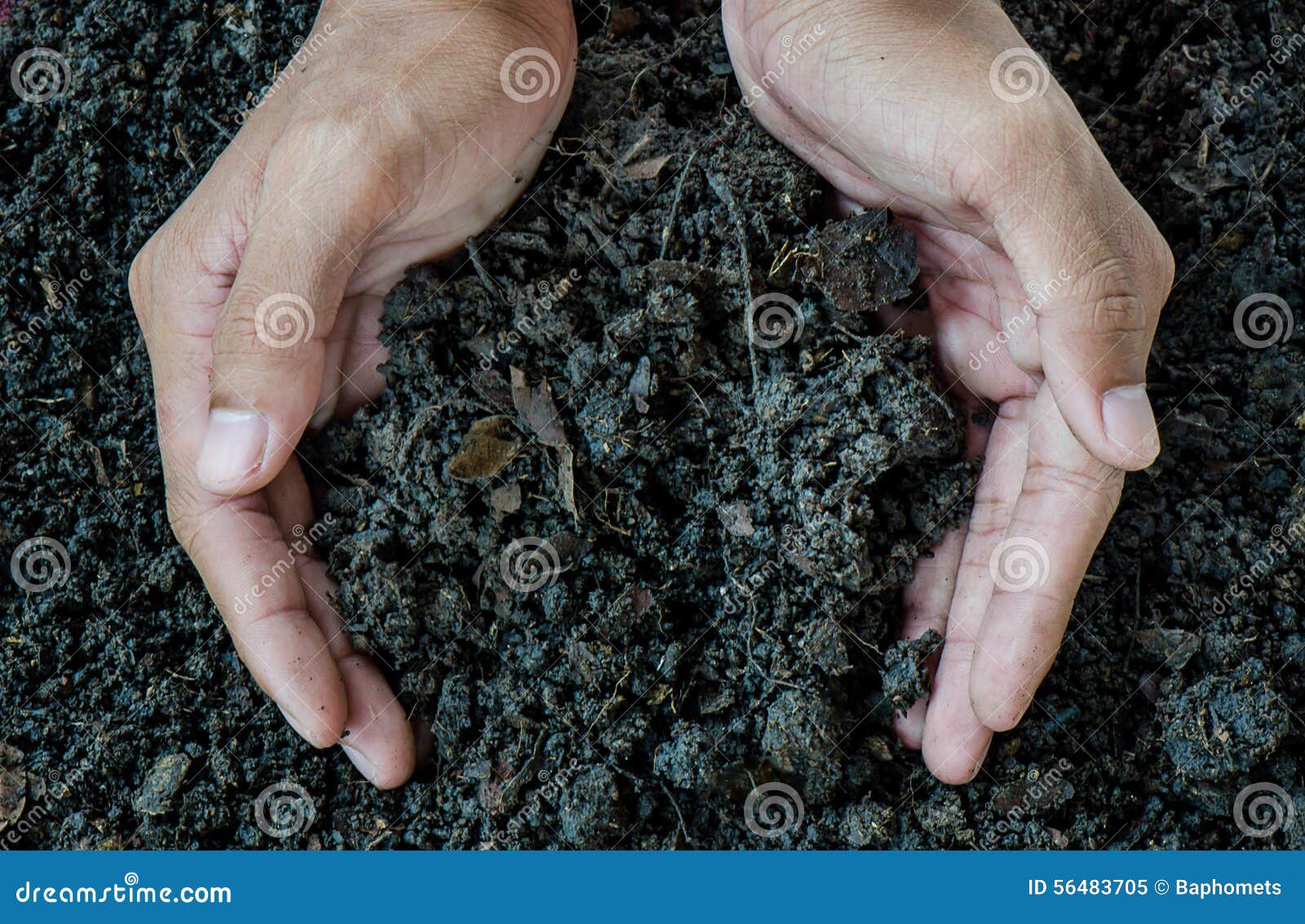 Hands Holding Soil, Organic Fertilizer Royalty-Free Stock Photography ...