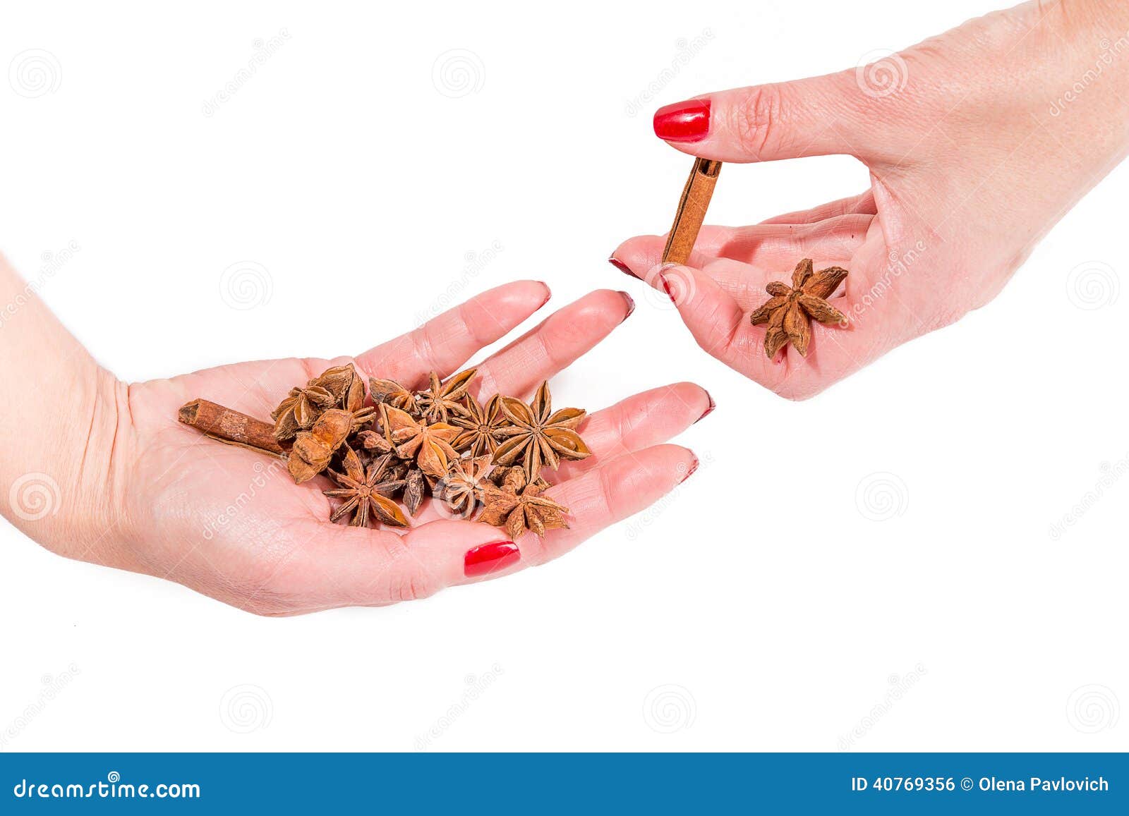 Hands Holding Spices, Cinnamon and Anise Stock Photo - Image of ...