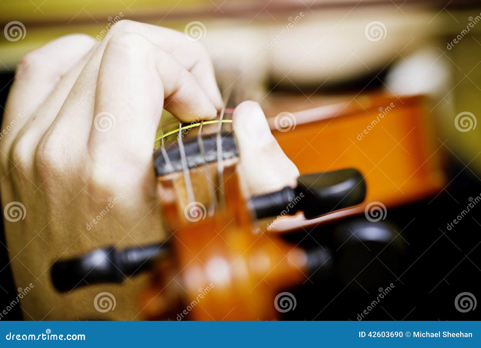 Hands Holding Strings on a Violin Stock Photo - Image of musician ...