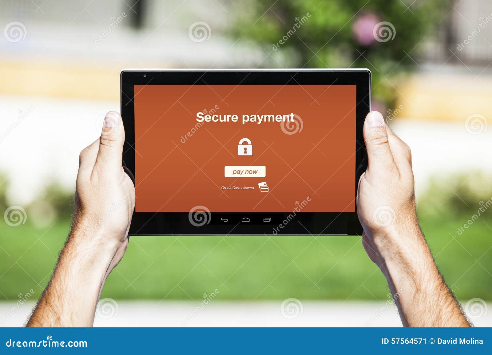 Hands Holding Tablet. Secure Payment on the Screen. Stock Image - Image ...