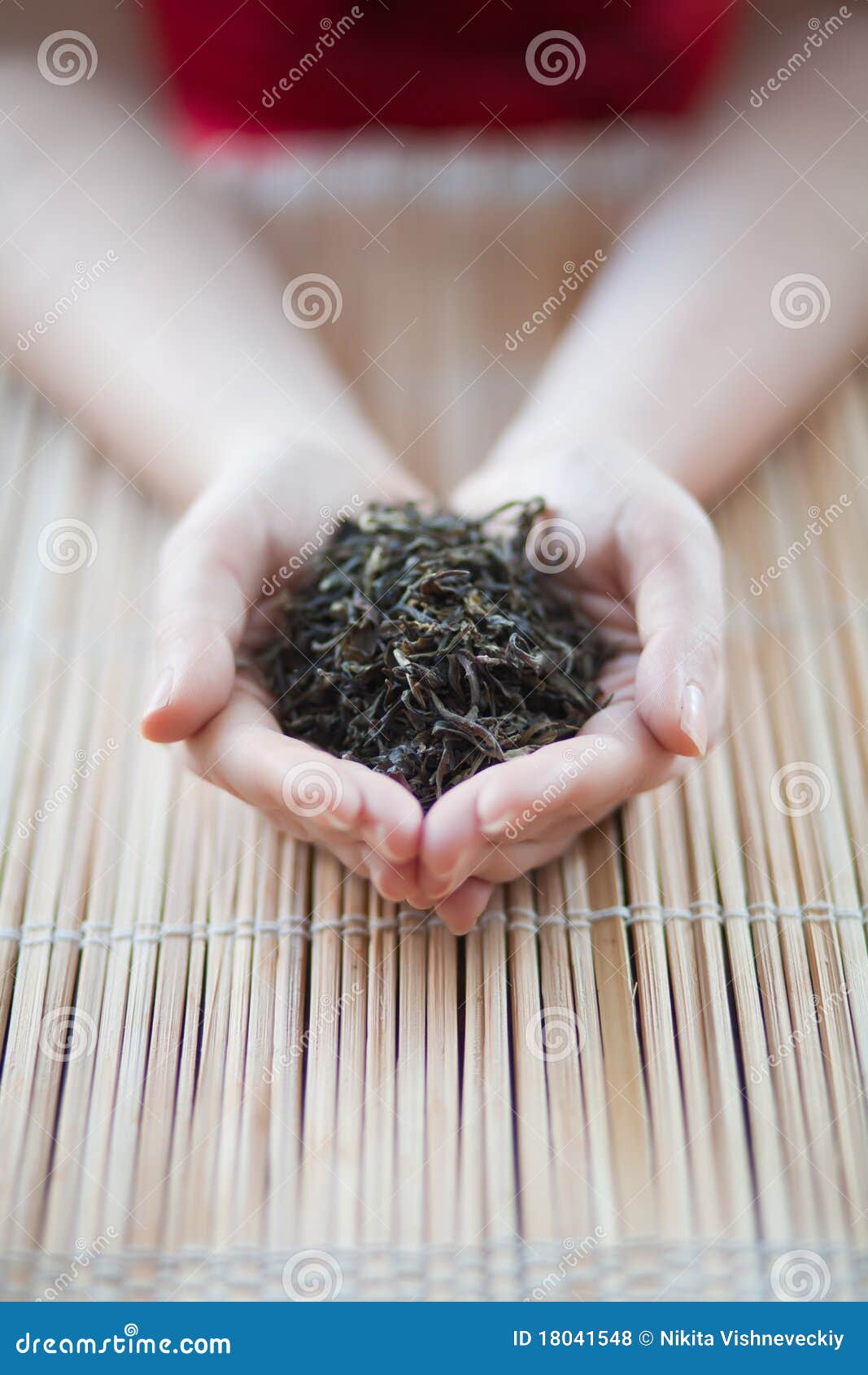 Hands holding a tea stock photo. Image of agriculture - 18041548