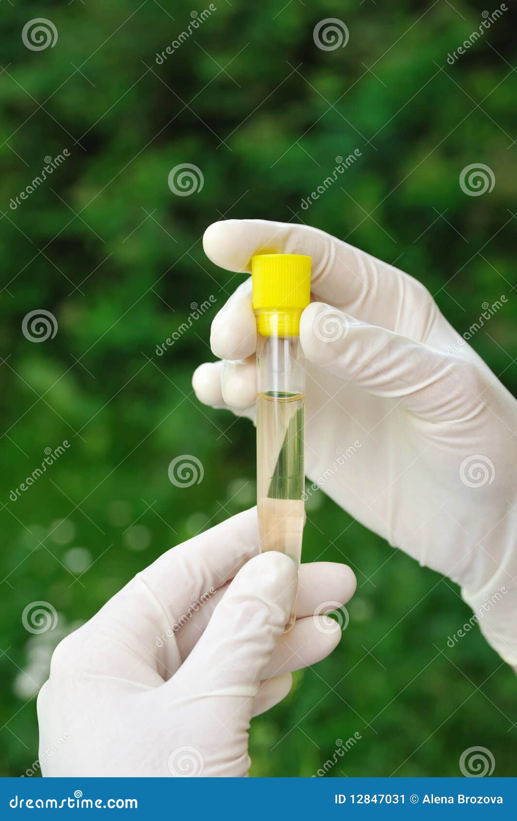Hands holding test tube stock image. Image of examine - 12847031