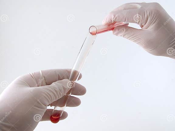 Hands holding a test tubes stock photo. Image of cell, hand - 249532