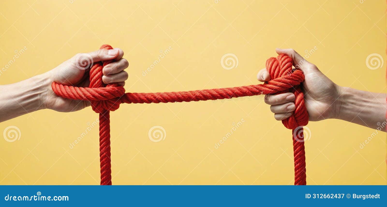 Hands Holding on To a Rope or Cord and Pulling in Different Directions ...