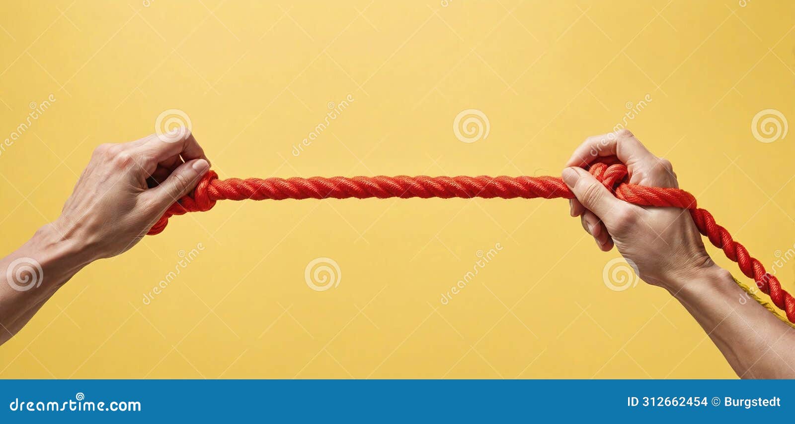 Hands Holding on To a Rope or Cord and Pulling in Different Directions ...