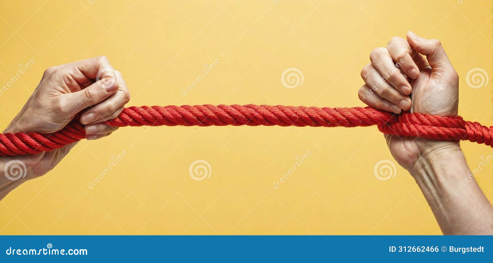 Hands Holding on To a Rope or Cord and Pulling in Different Directions ...