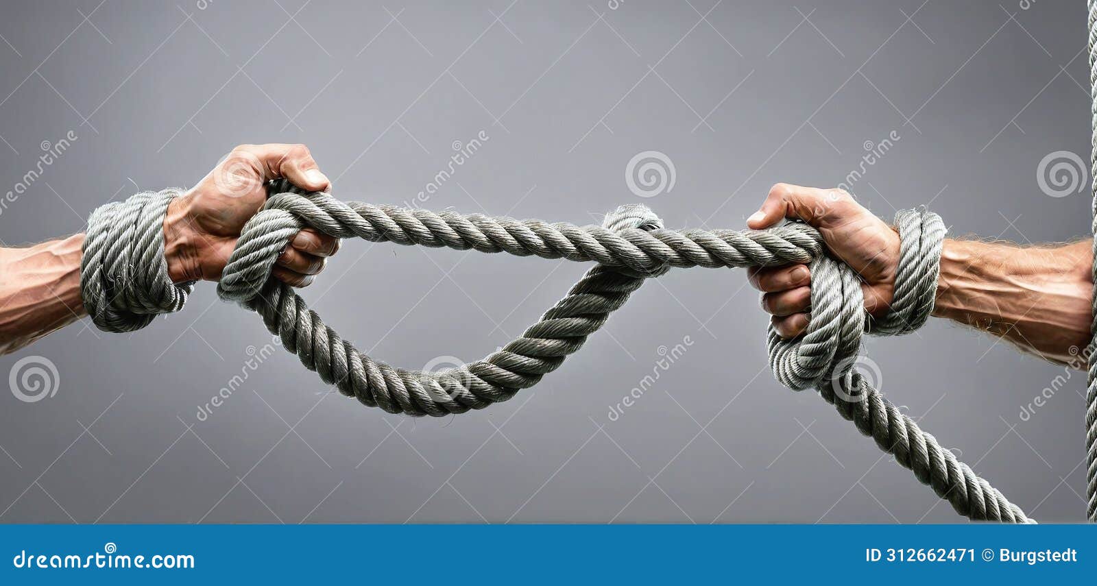 Hands Holding on To a Rope or Cord and Pulling in Different Directions ...