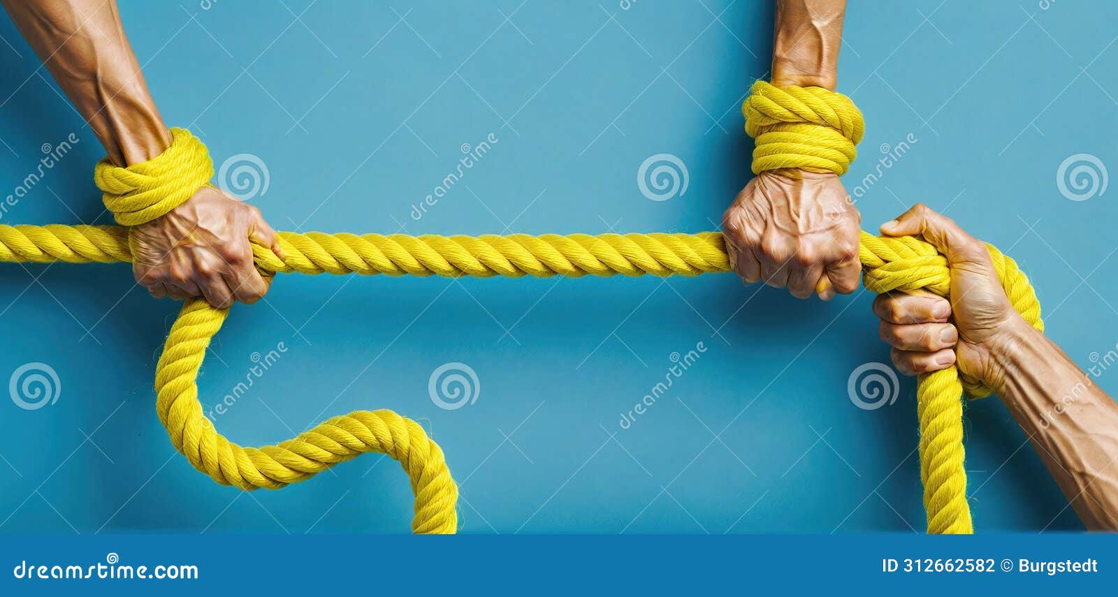 Hands Holding on To a Rope or Cord and Pulling in Different Directions ...