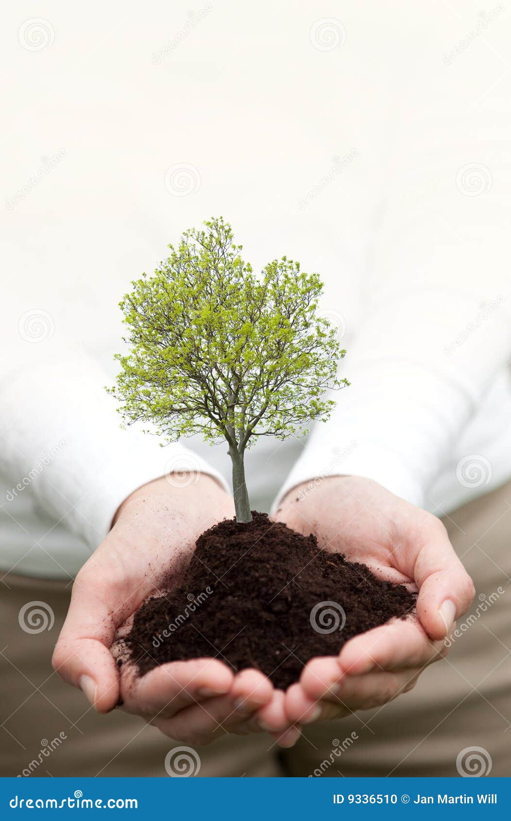 Hands holding a tree stock photo. Image of environment - 9336510