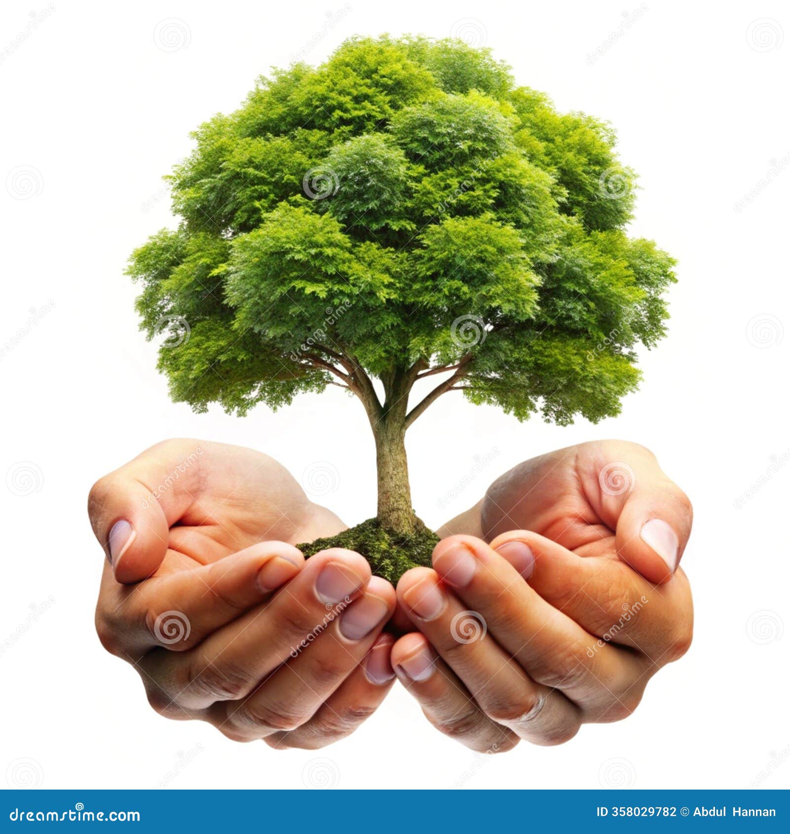 Hands holding tree stock illustration. Illustration of garden - 358029782