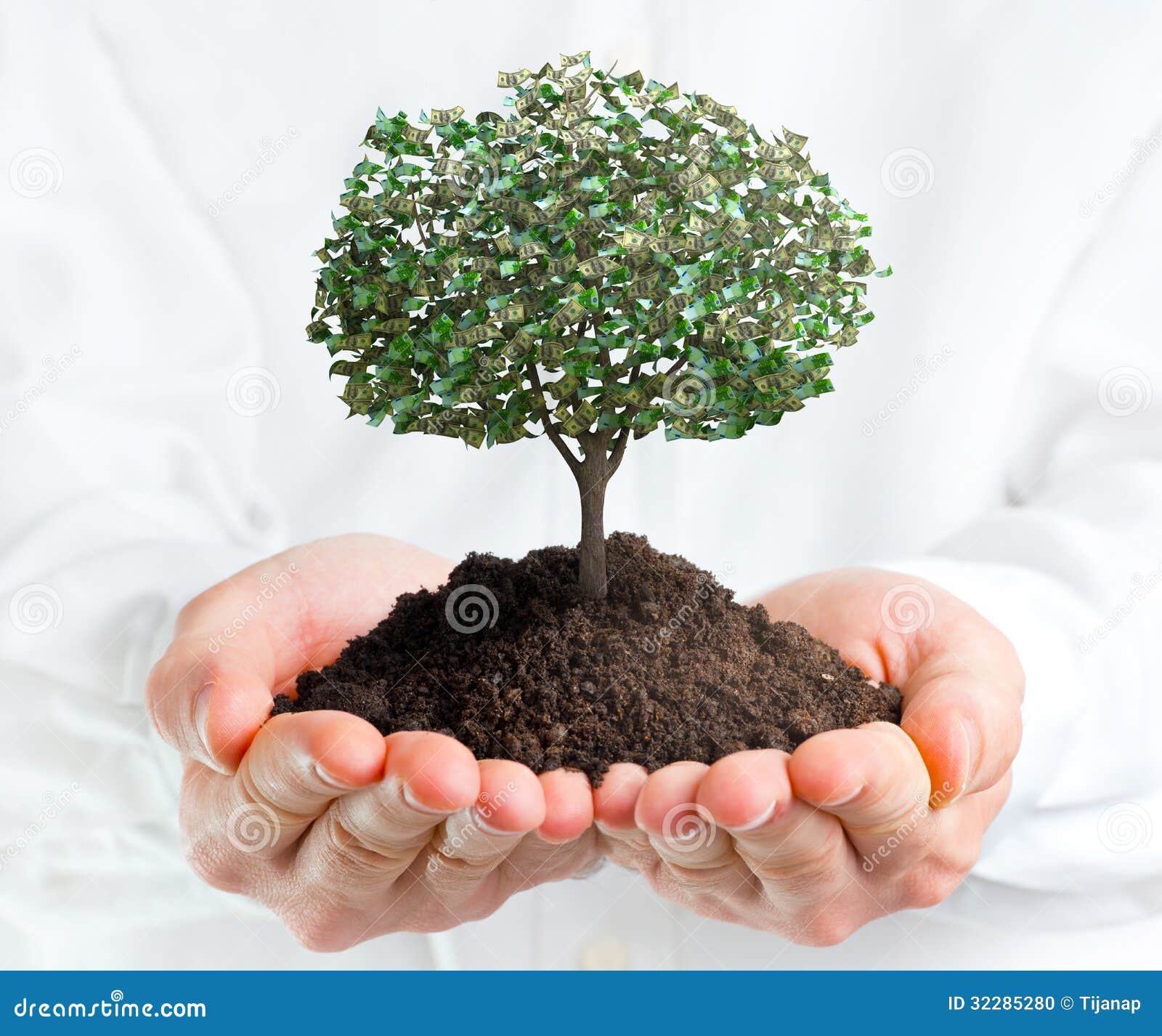 Hands Holding A Tree With Money Stock Photo - Image of bank, ecology ...
