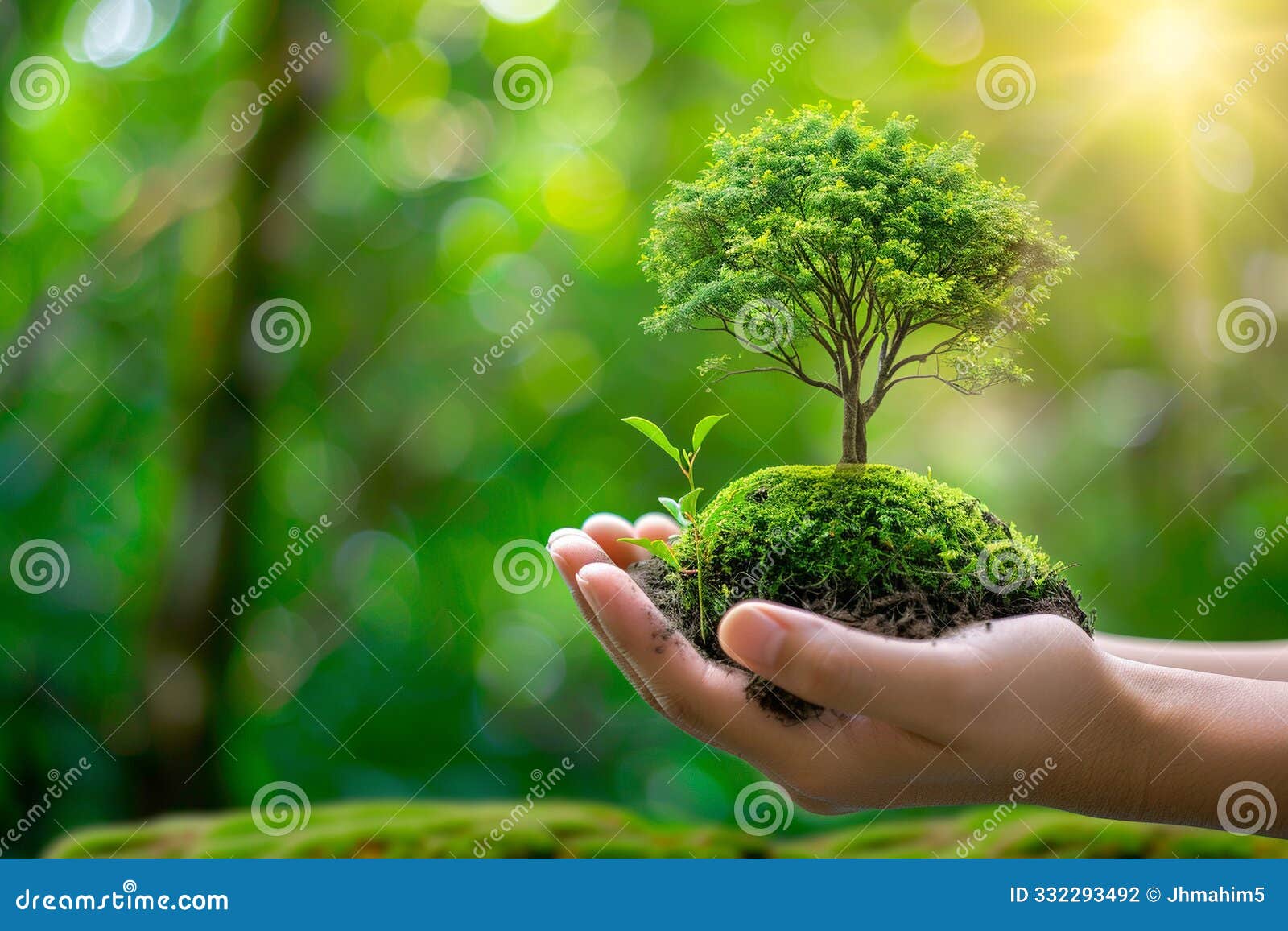 Hands Holding a Tree Sapling and Soil Representing the Importance of ...