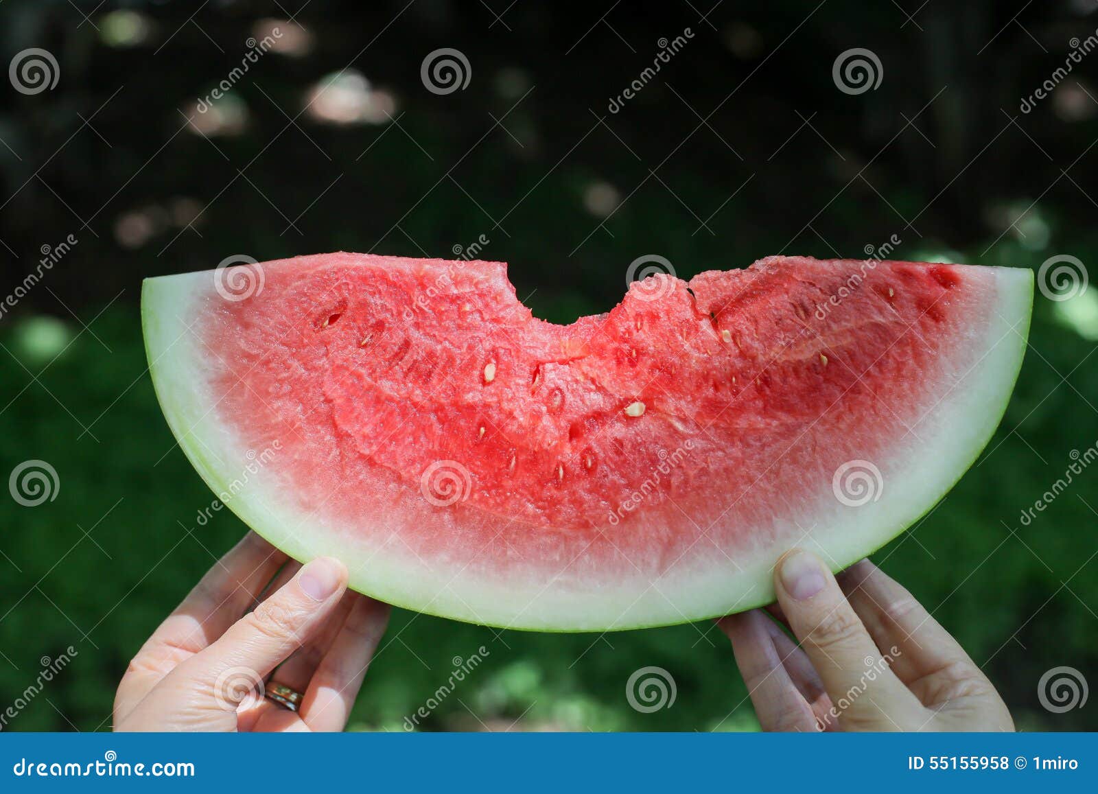 Hands holding watermelon stock photo. Image of fruit - 55155958
