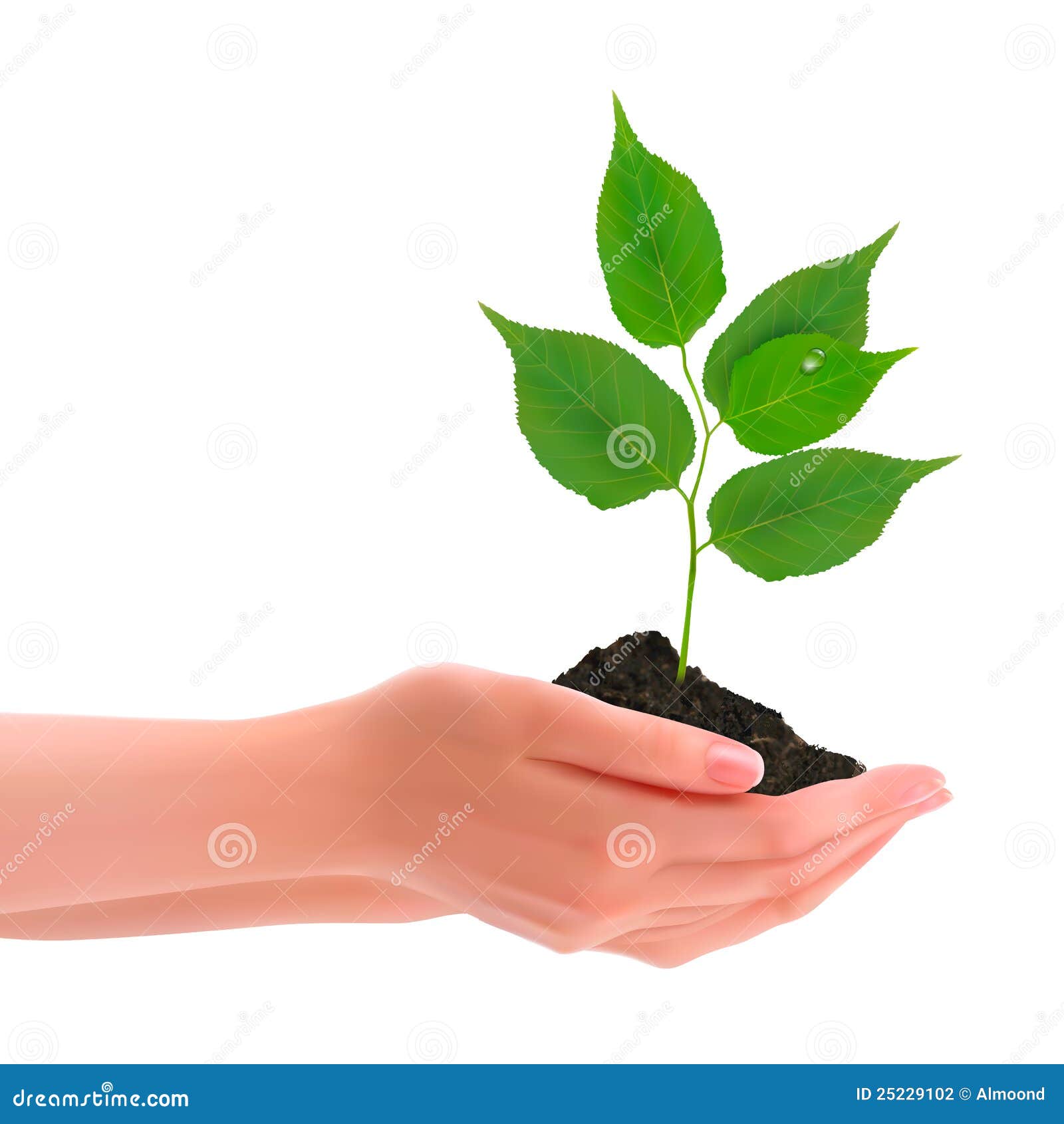 Hands holding young plant stock vector. Illustration of love - 25229102