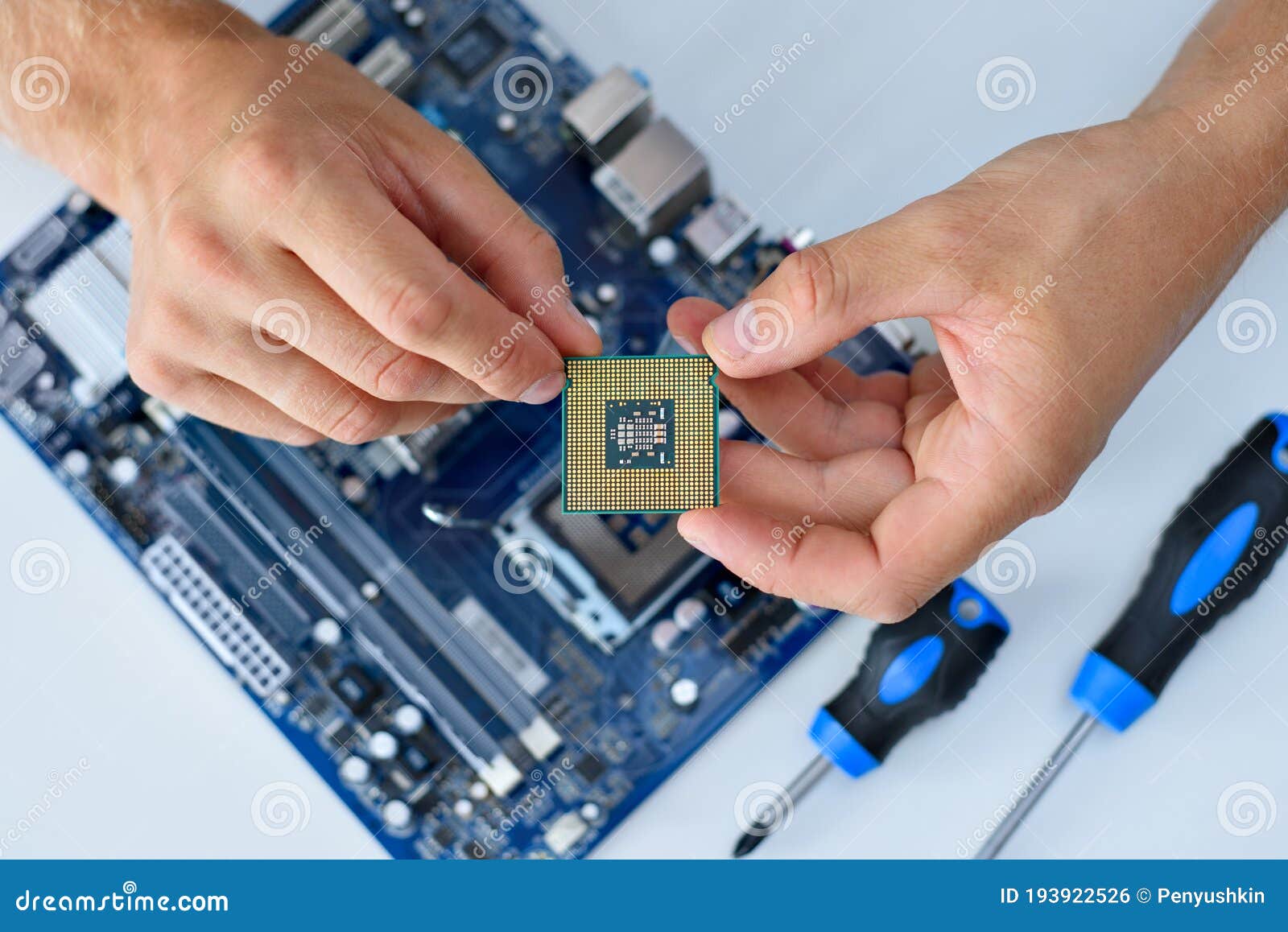 Hands Holds Processor on the Motherboard Background Stock Photo - Image ...