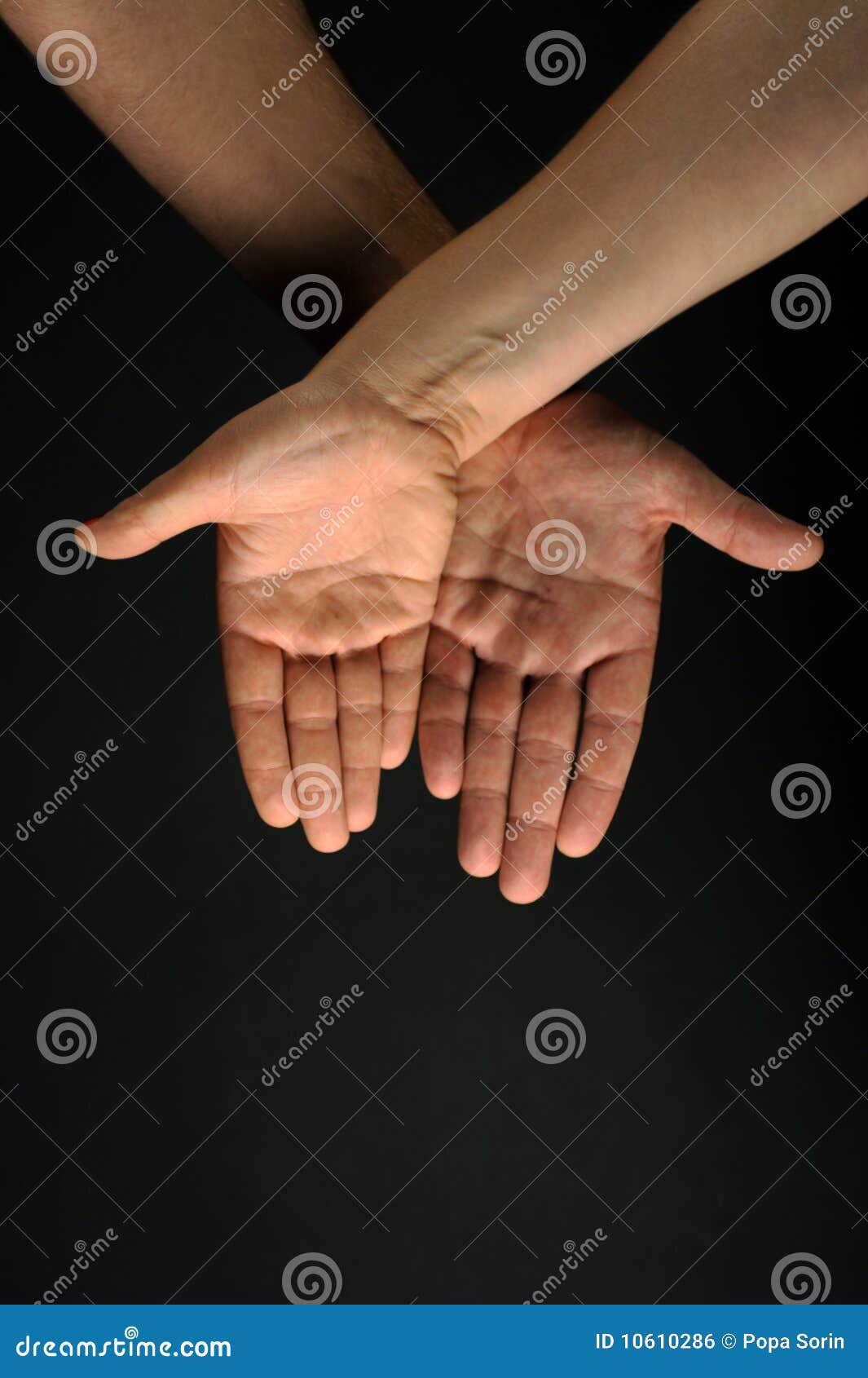 Hands in a house shape stock photo. Image of white, people - 10610286