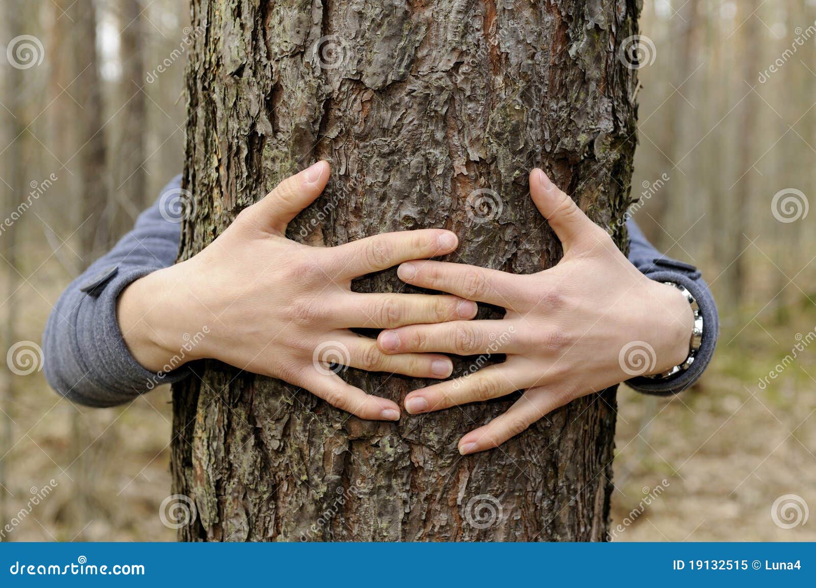 Hands hug a tree stock image. Image of outdoorshot, hugging - 19132515