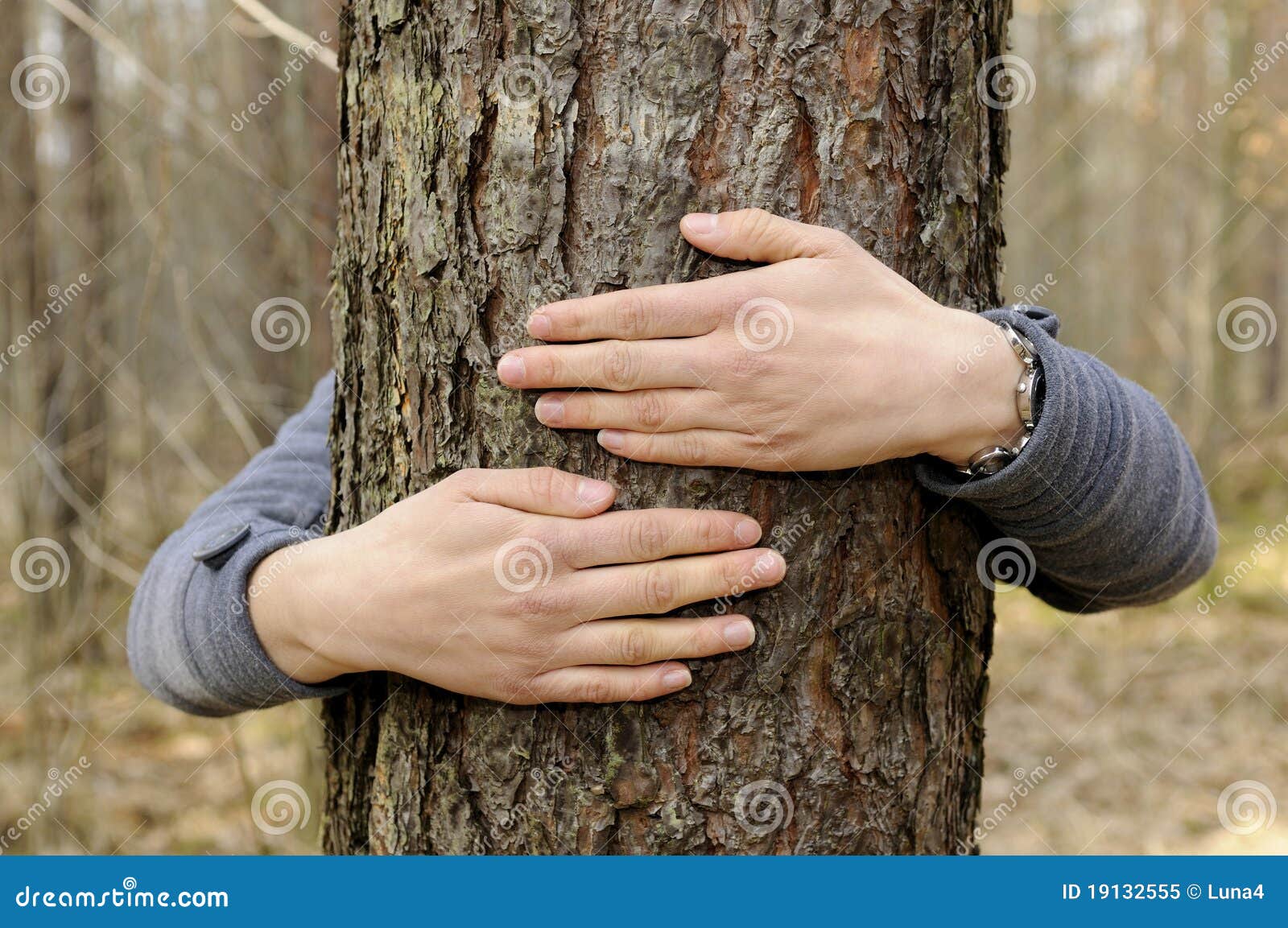 Hands hug a tree stock image. Image of environmentalist - 19132555