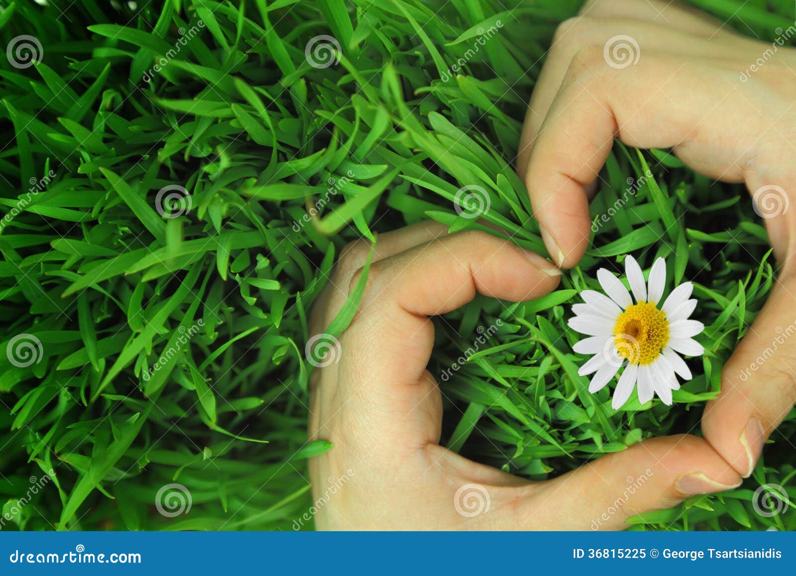 Hands Hugging Tree Royalty-Free Stock Photography | CartoonDealer.com ...