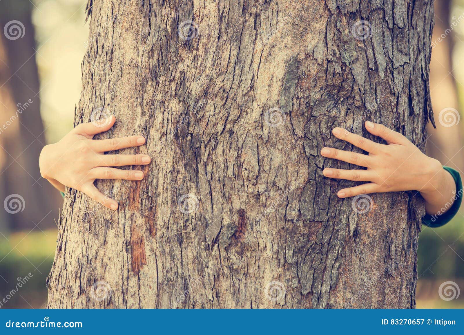 Hands hugging tree stock image. Image of emotion, outdoor - 83270657
