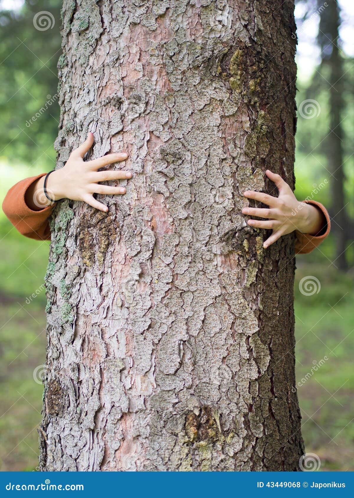 Hands hugging tree stock photo. Image of female, embracing - 43449068