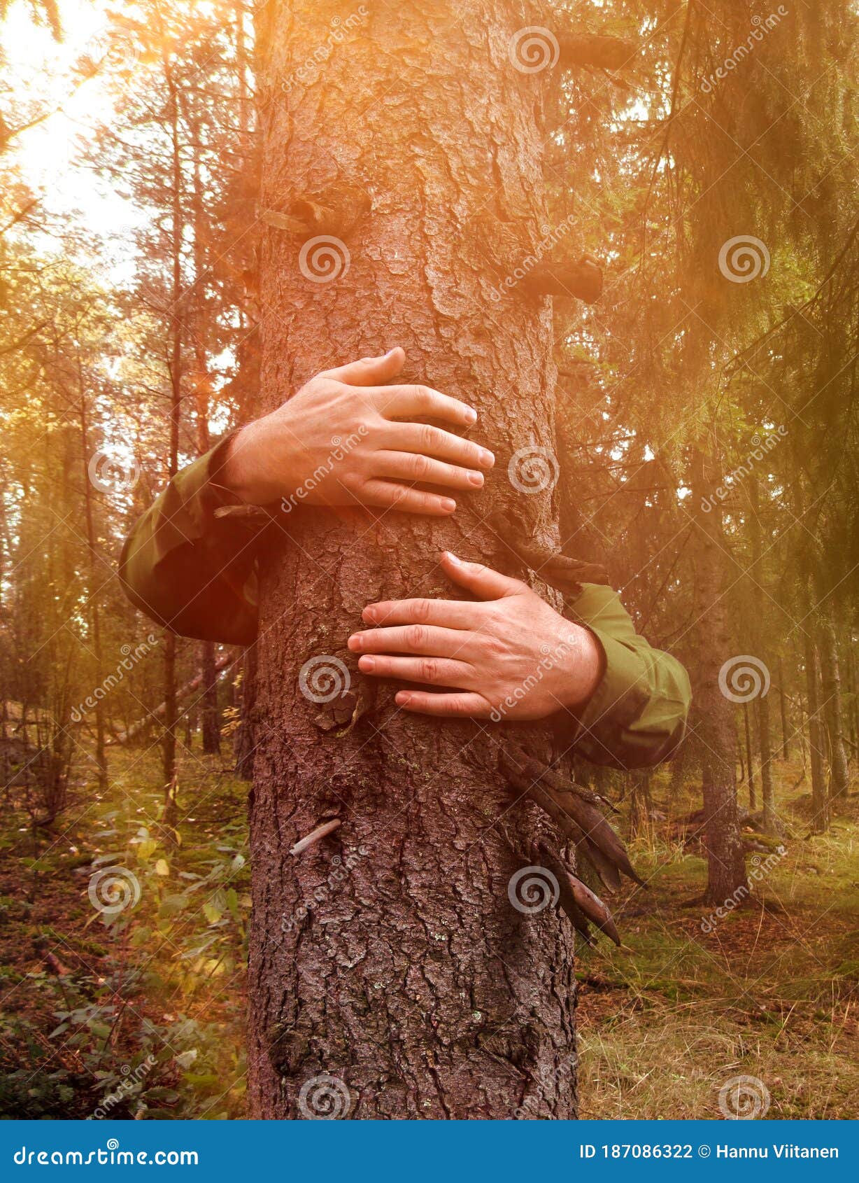 Hands hugging a tree stock photo. Image of connection - 187086322
