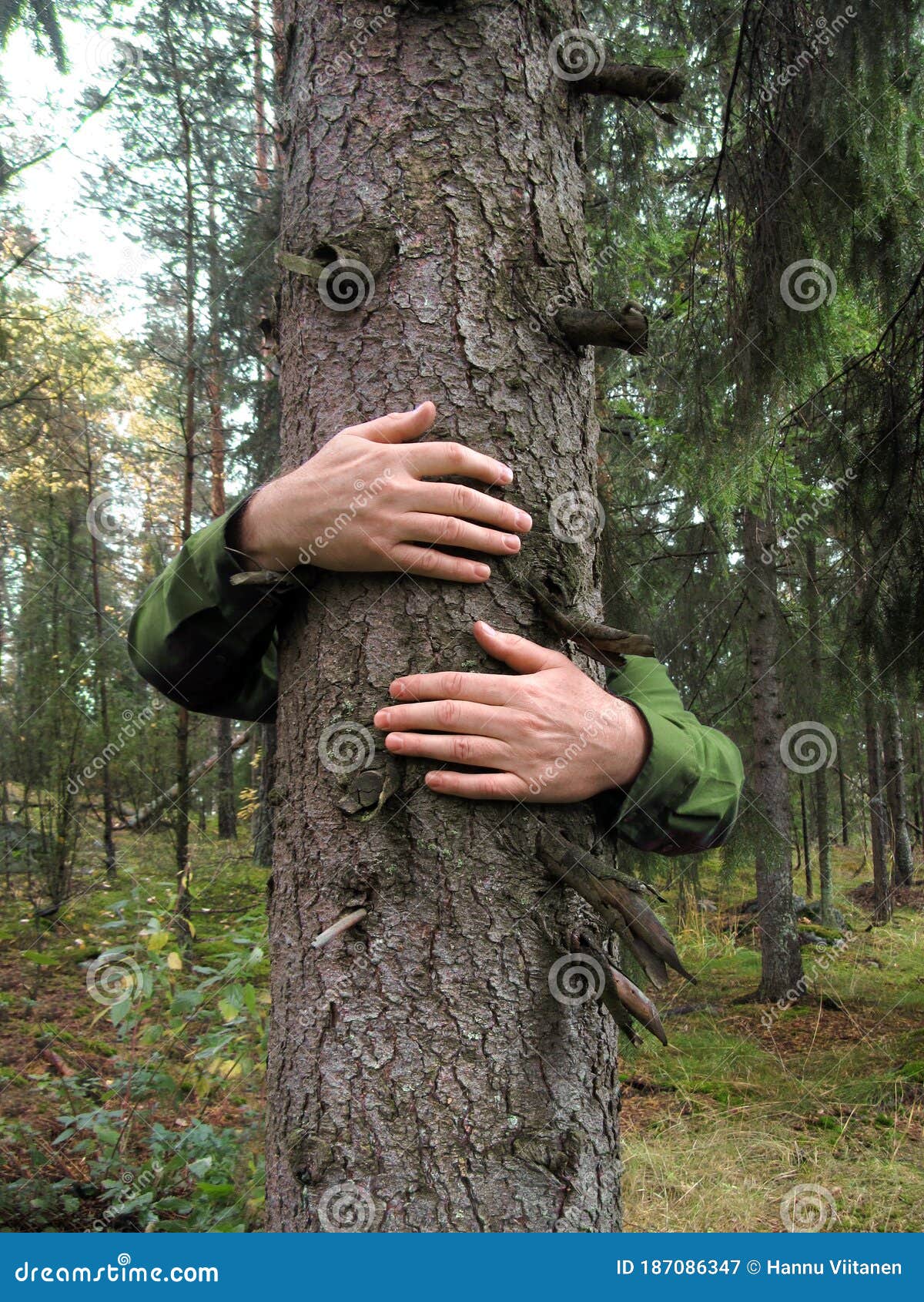 Hands hugging a tree stock image. Image of hand, passion - 187086347