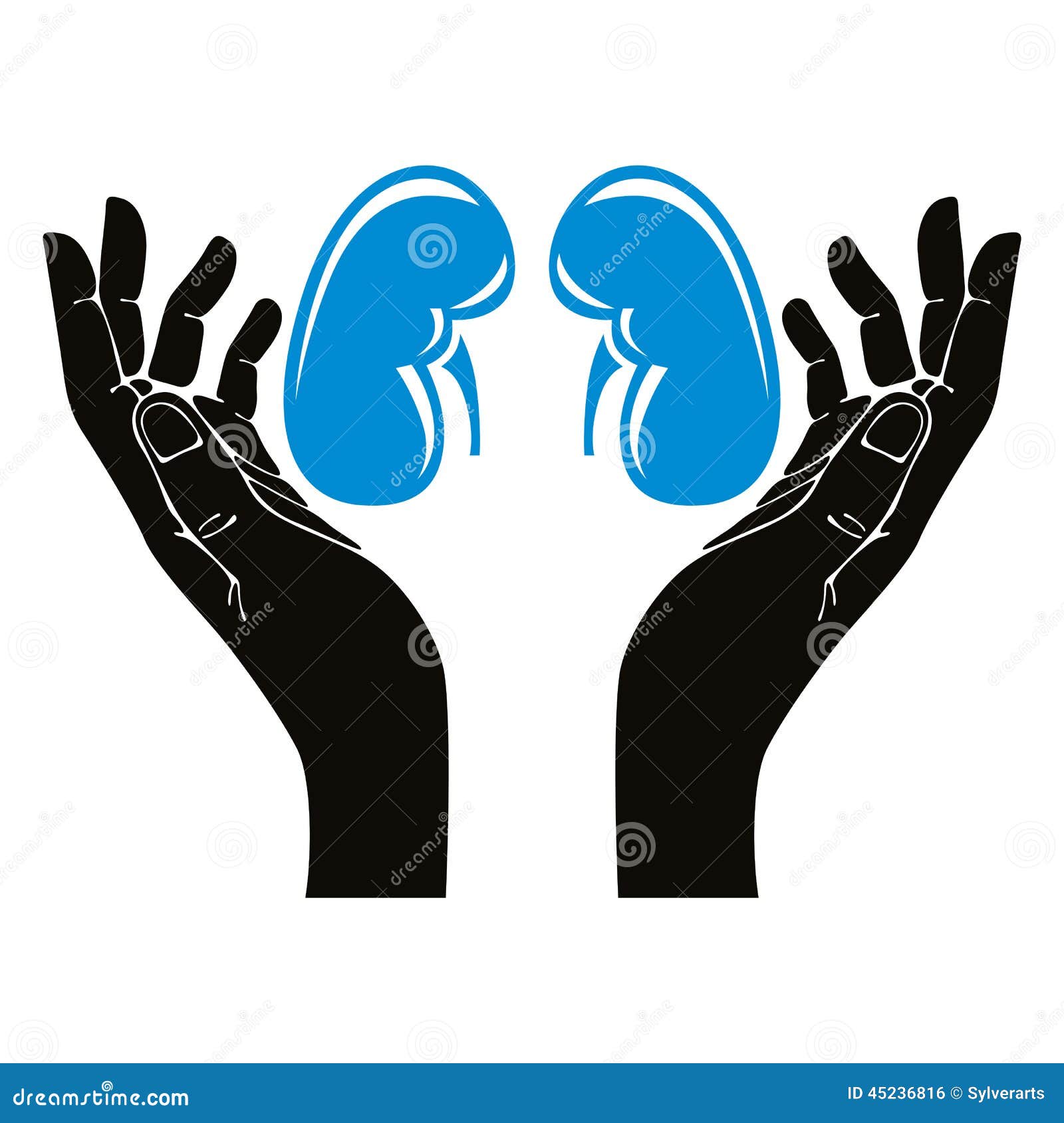 Kidneys Protection Symbol Collection Vector Illustration ...