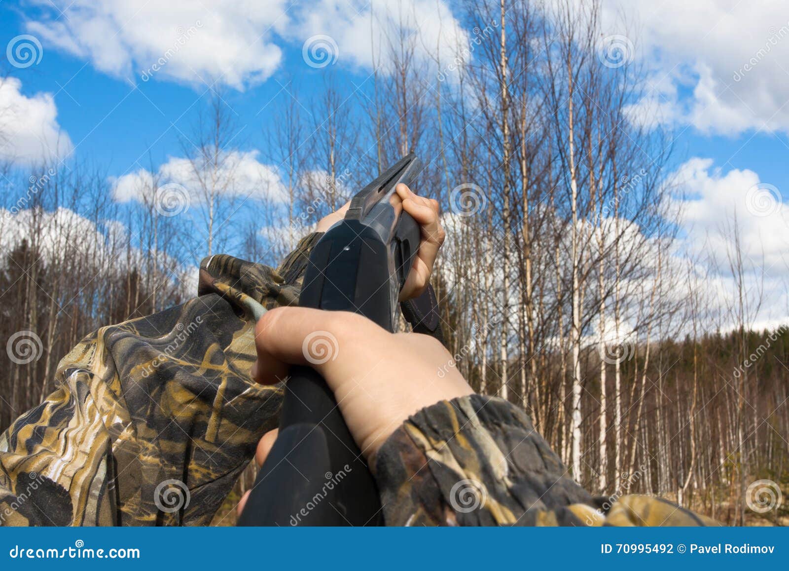 Hands of Hunter Shooting from a Shotgun Stock Photo - Image of hunting ...