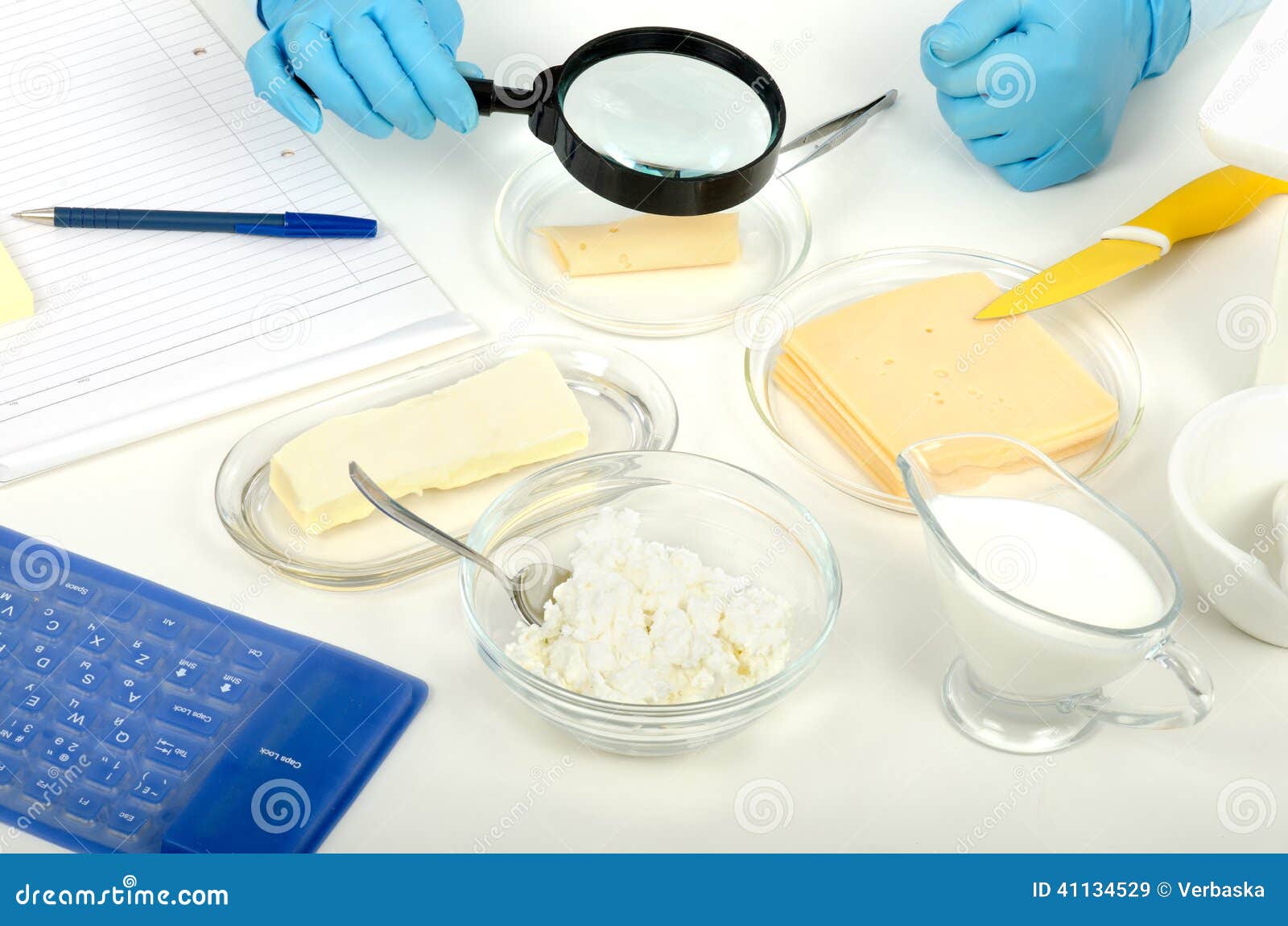 Hands Inspecting a Cheese in Phytocontrol Laboratory Stock Image ...