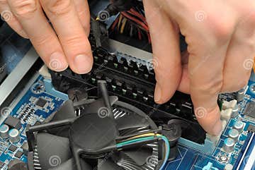 Hands Installing Computer Parts Stock Photo - Image of assembly ...