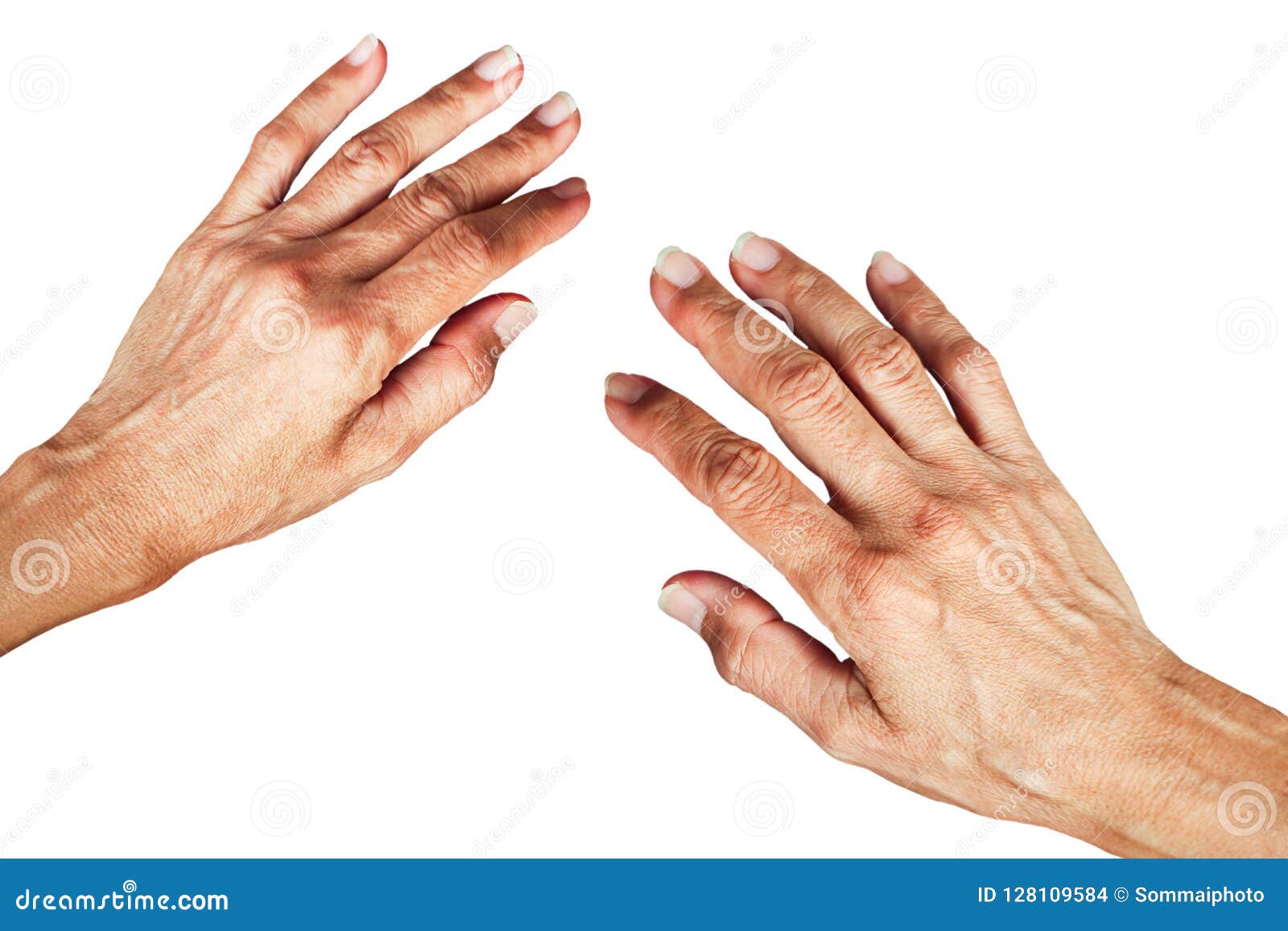 Hands isolated on white stock photo. Image of hands - 128109584