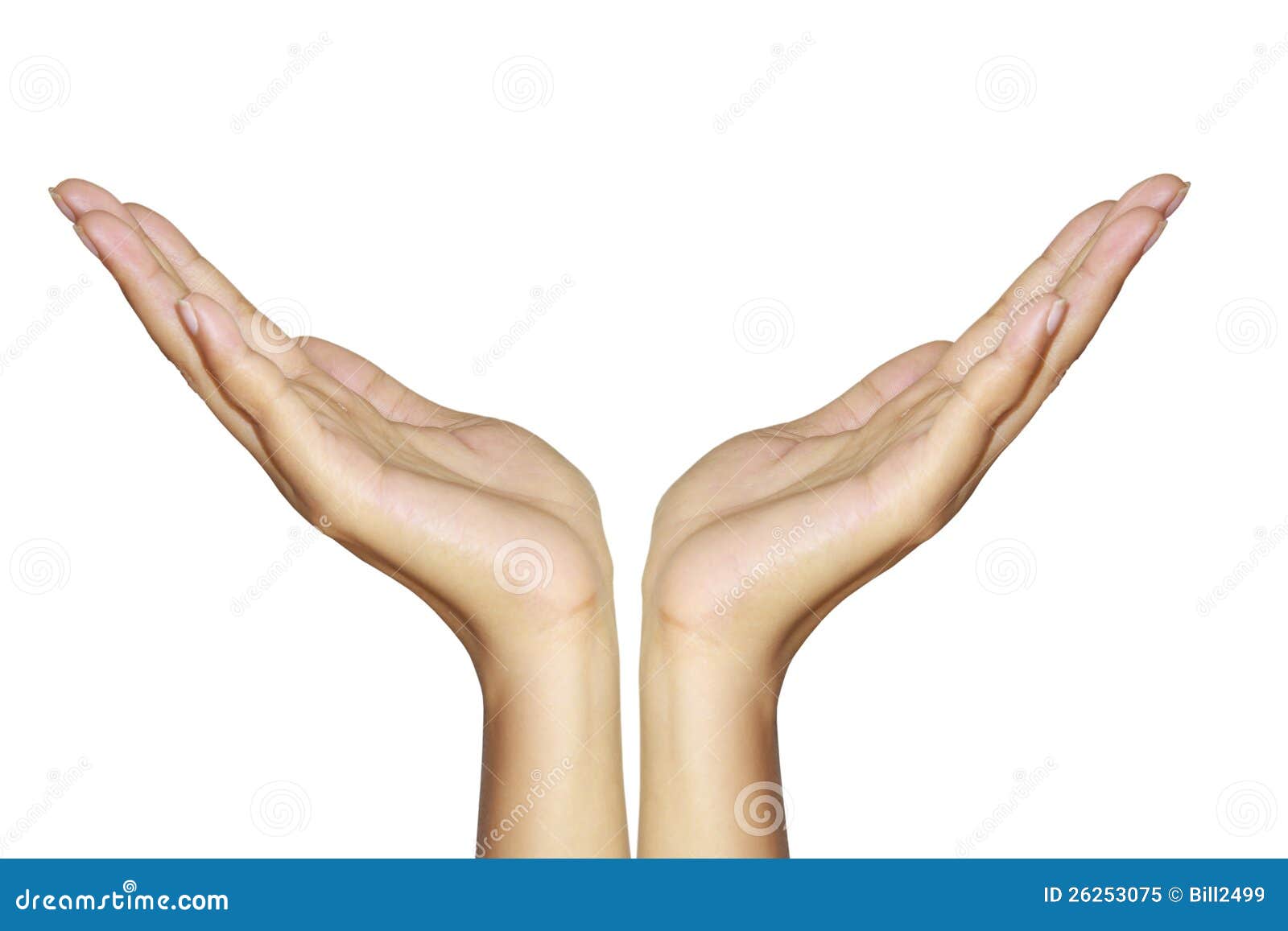 Hands joined stock image. Image of growth, concepts, care - 26253075