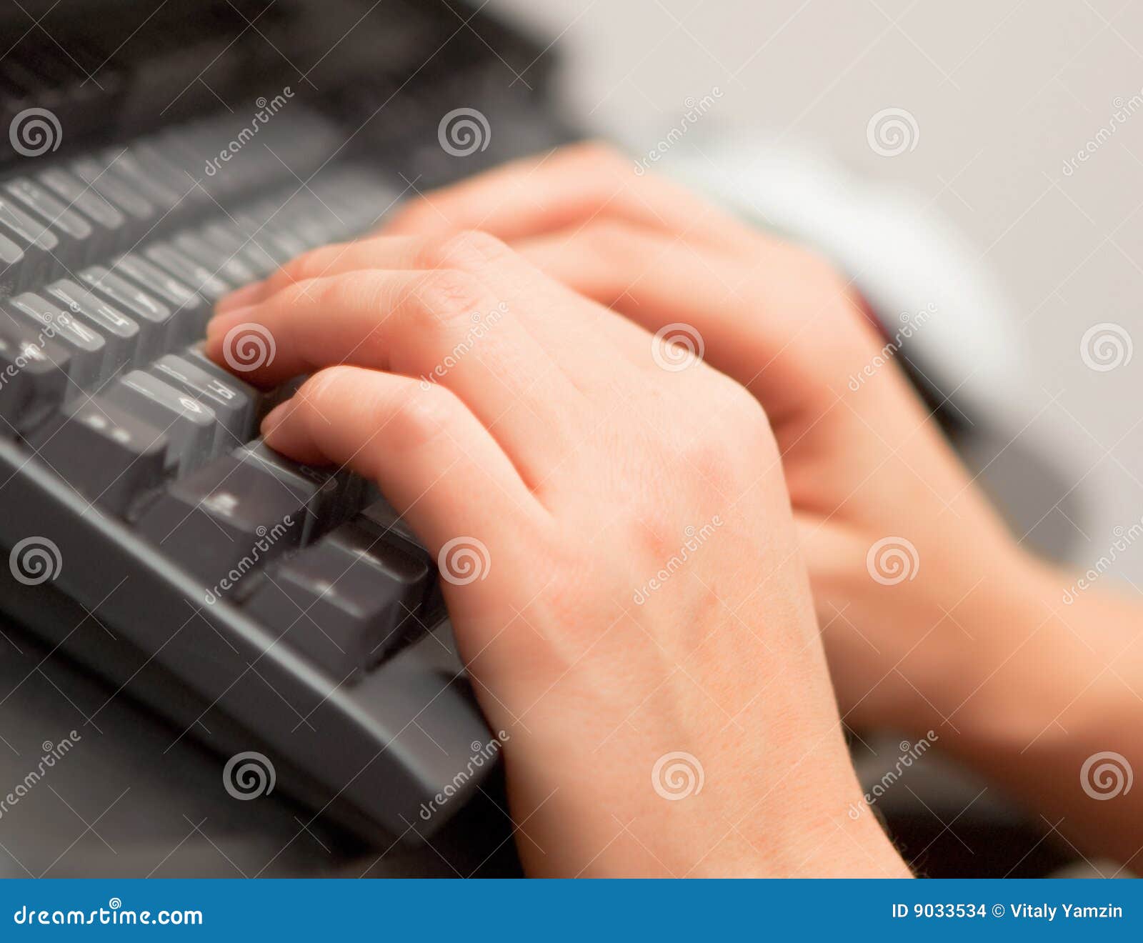 Hands on the keyboard stock photo. Image of professional - 9033534