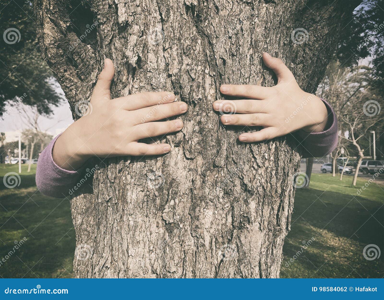 Hands of a kid around tree stock photo. Image of arms - 98584062