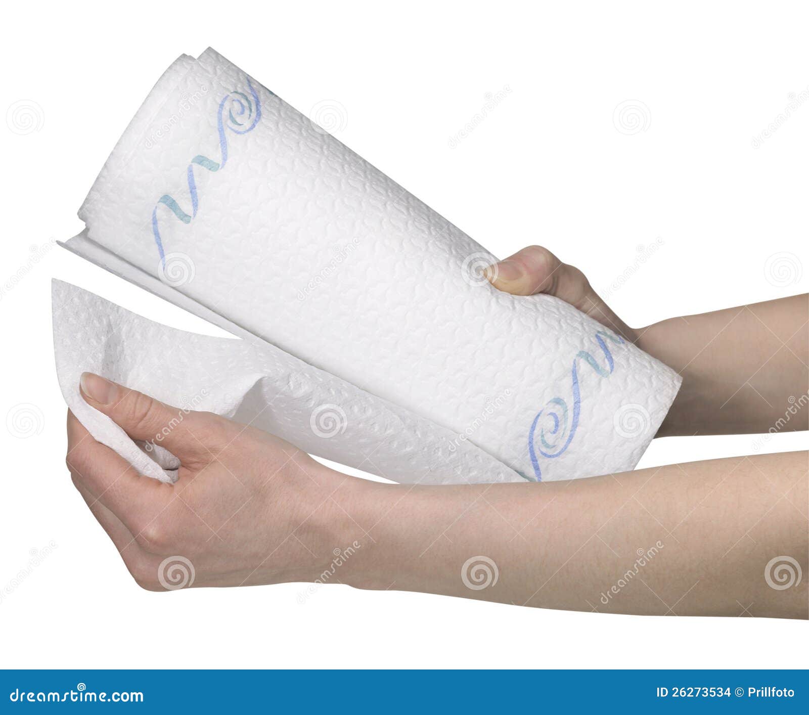 Hands and kitchen roll stock photo. Image of holding - 26273534