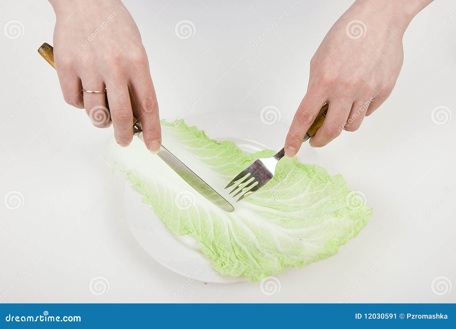 Hands with a Knife and a Plug Stock Image - Image of metal, plate: 12030591