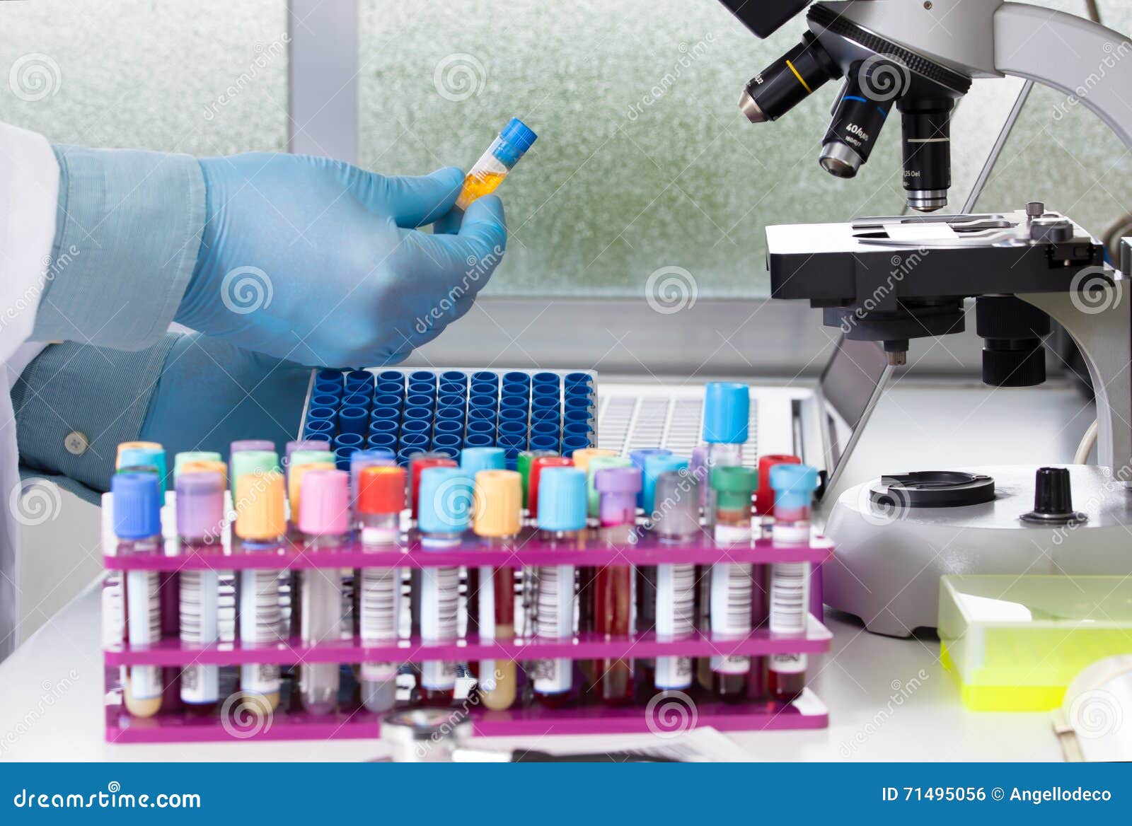 Hands of a Lab Technician Working with Samples Stock Photo - Image of ...