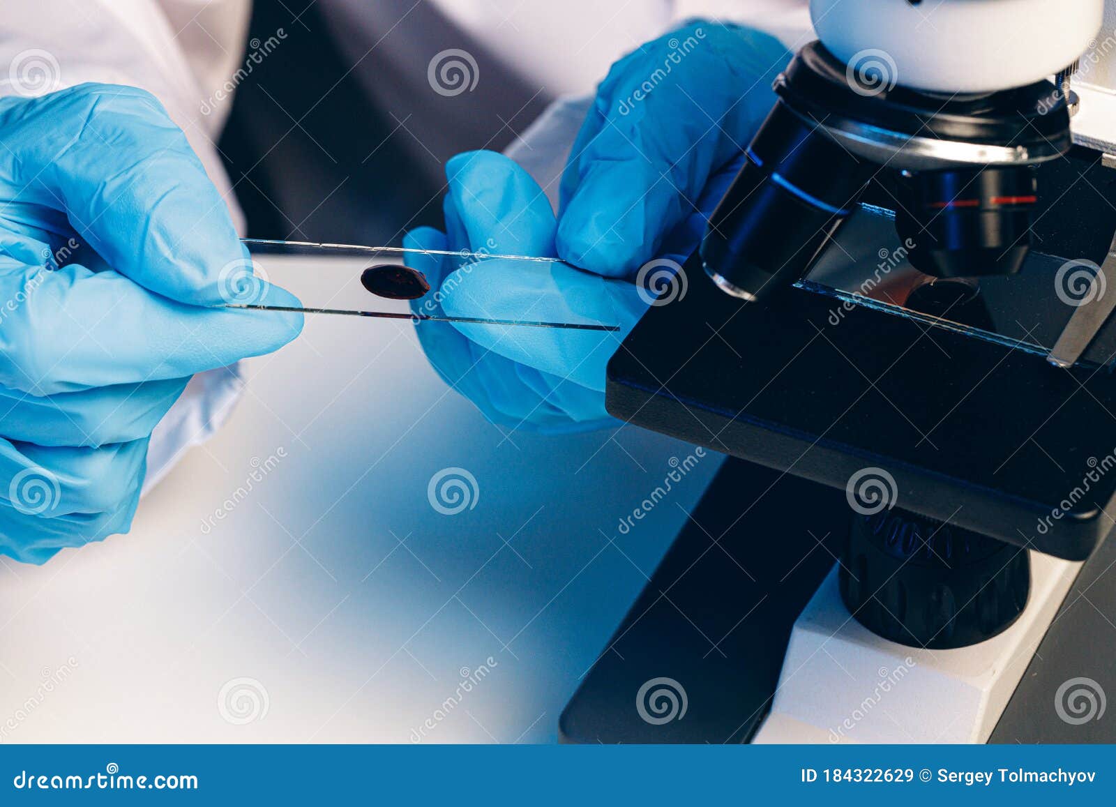 Hands of a Laboratory Worker Doing Blood Test Stock Image - Image of ...