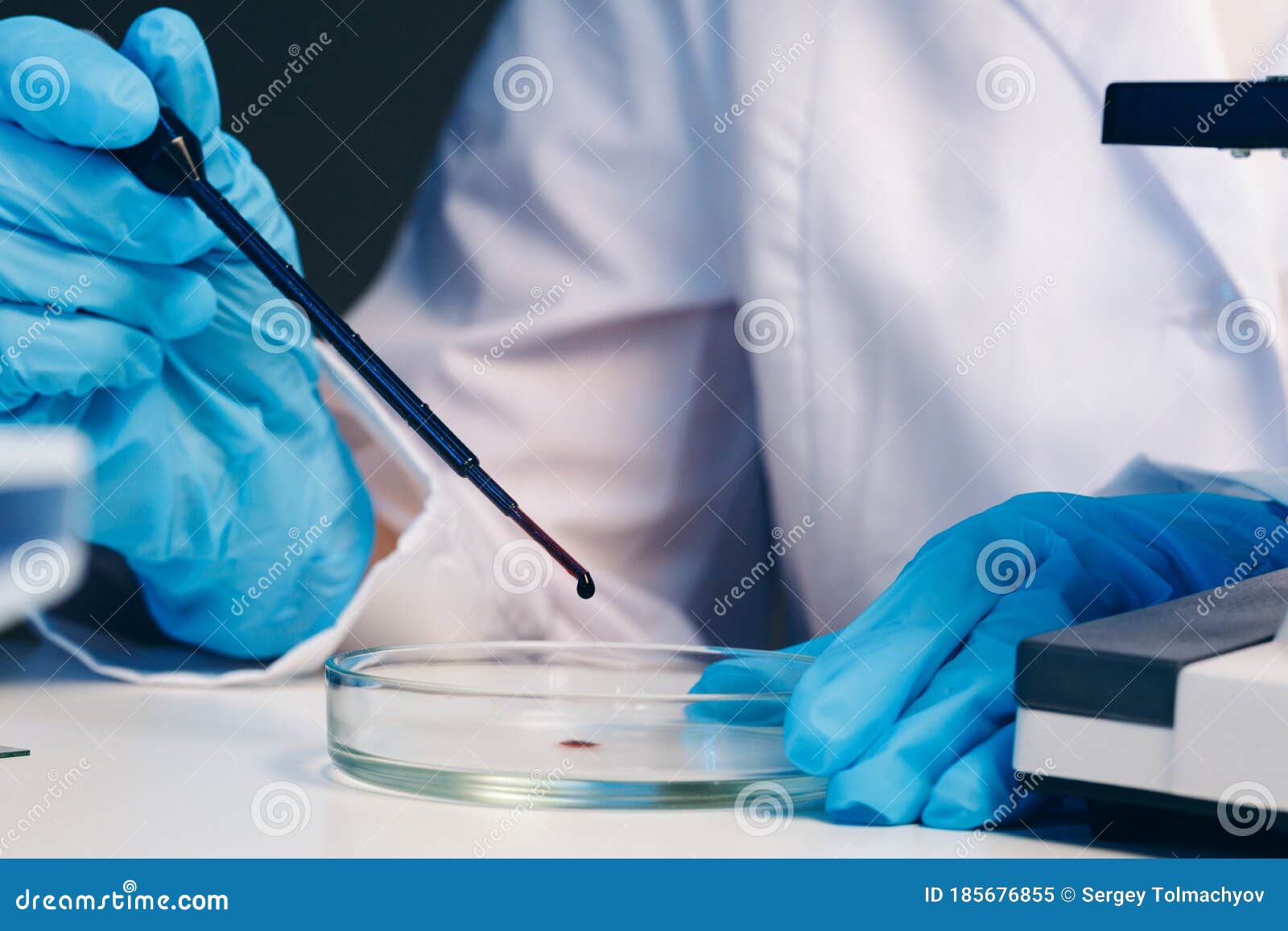 Hands of a Laboratory Worker Doing Blood Test Stock Image - Image of ...