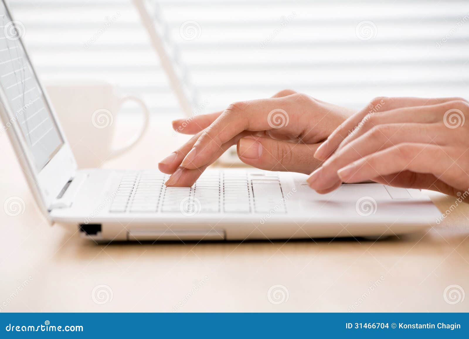 Hands and laptop stock photo. Image of closeup, european - 31466704