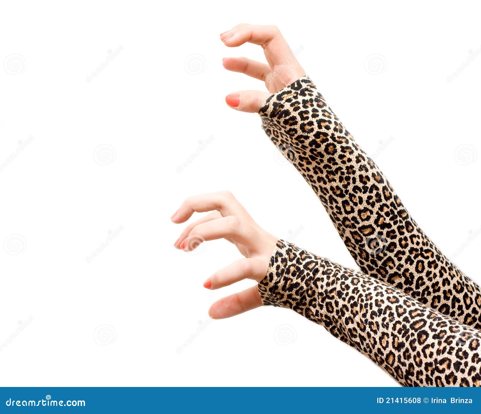 Hands leopard stock photo. Image of pleasure, person - 21415608
