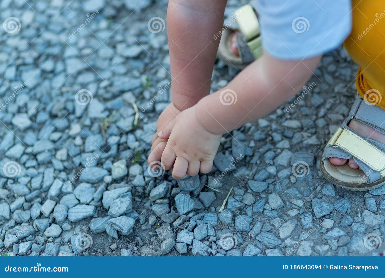 Hands of a Little Boy Full of Small Stones Stock Photo - Image of ...