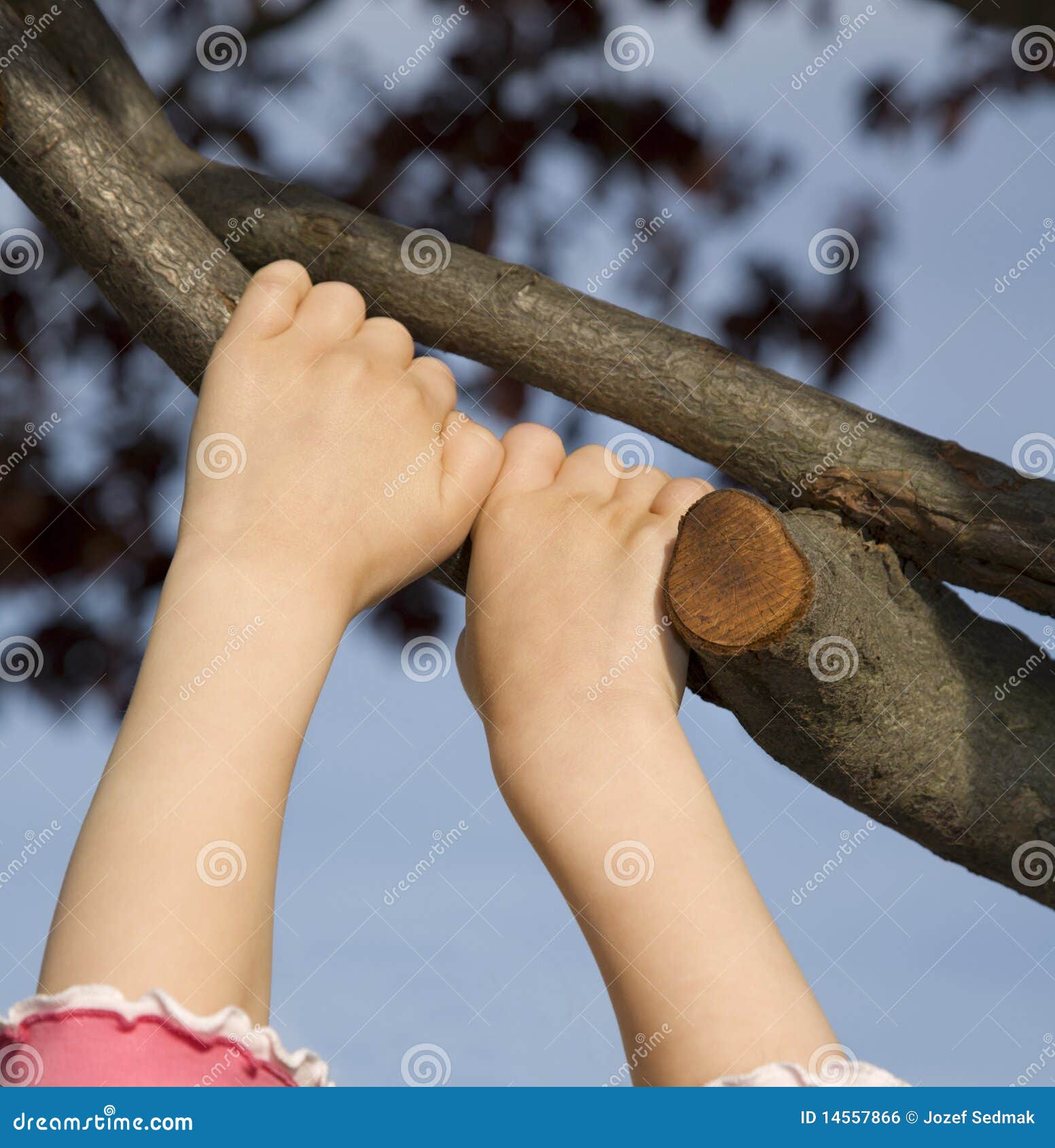 Hands of Little Girl on the Tree Stock Photo - Image of detail, girl ...