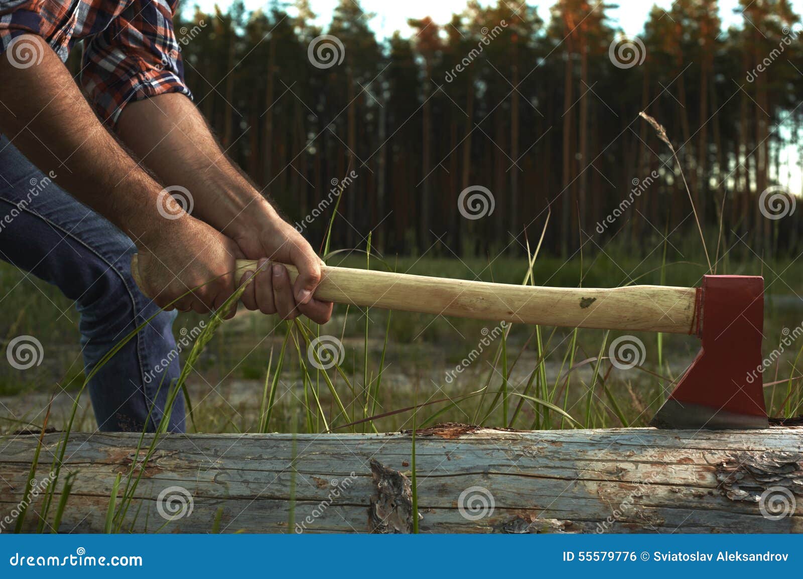 Hands of Lumberjack with Ax Stock Photo - Image of strength, macho ...