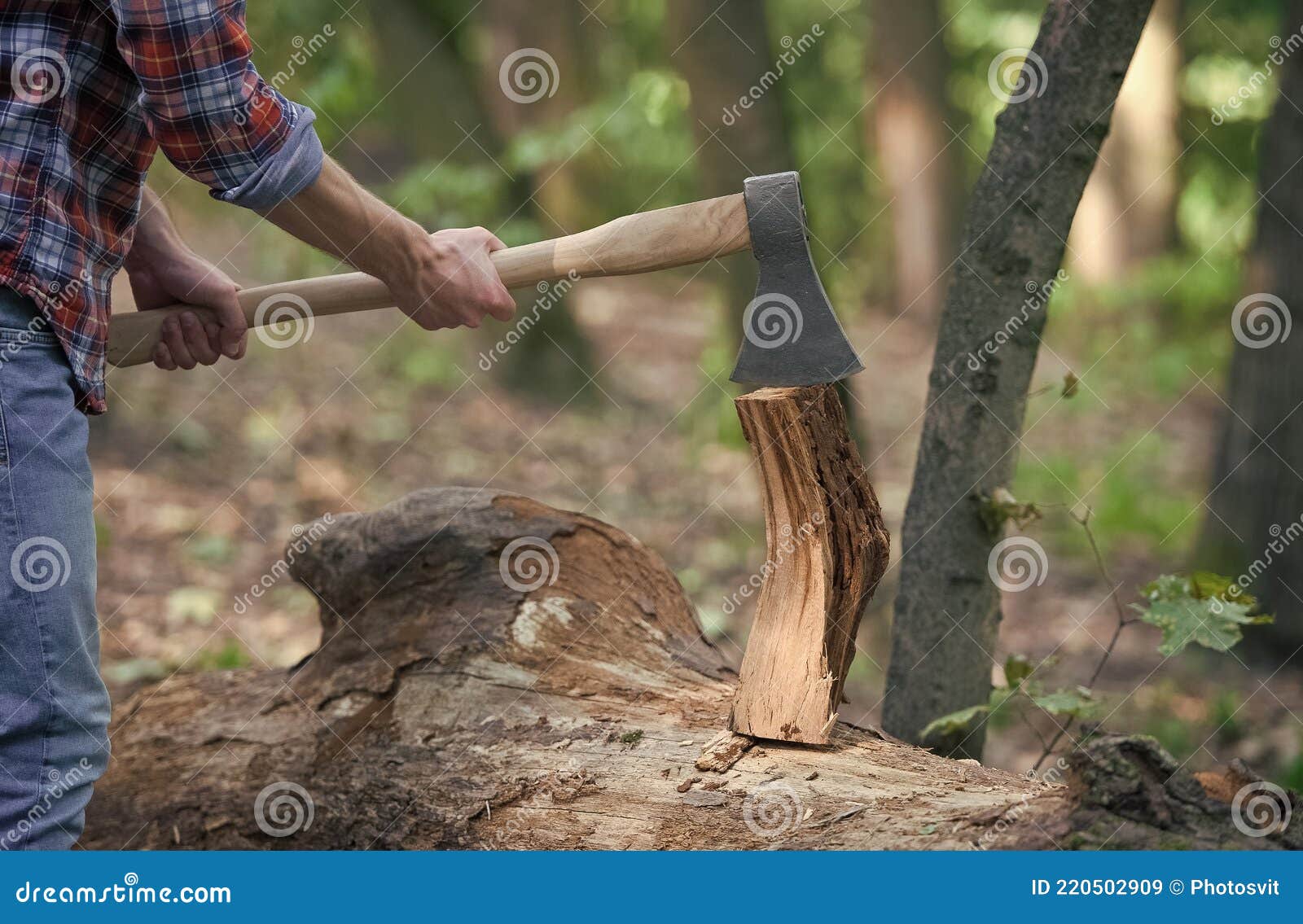Hands of Lumberjack with Axe Cut a Tree, Forest Stock Image - Image of ...